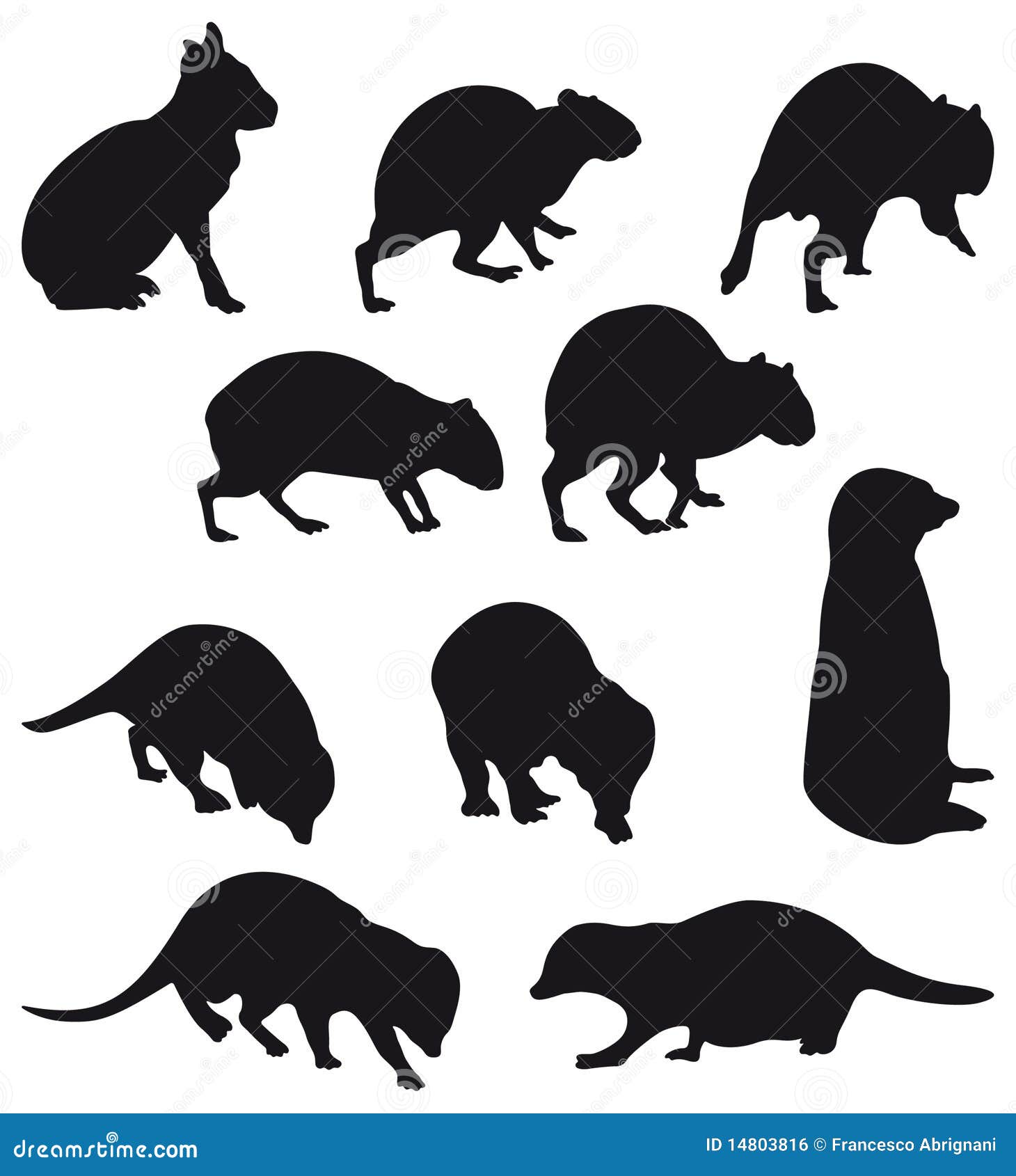 Agoutis and Suricate stock illustration. Illustration of collection ...