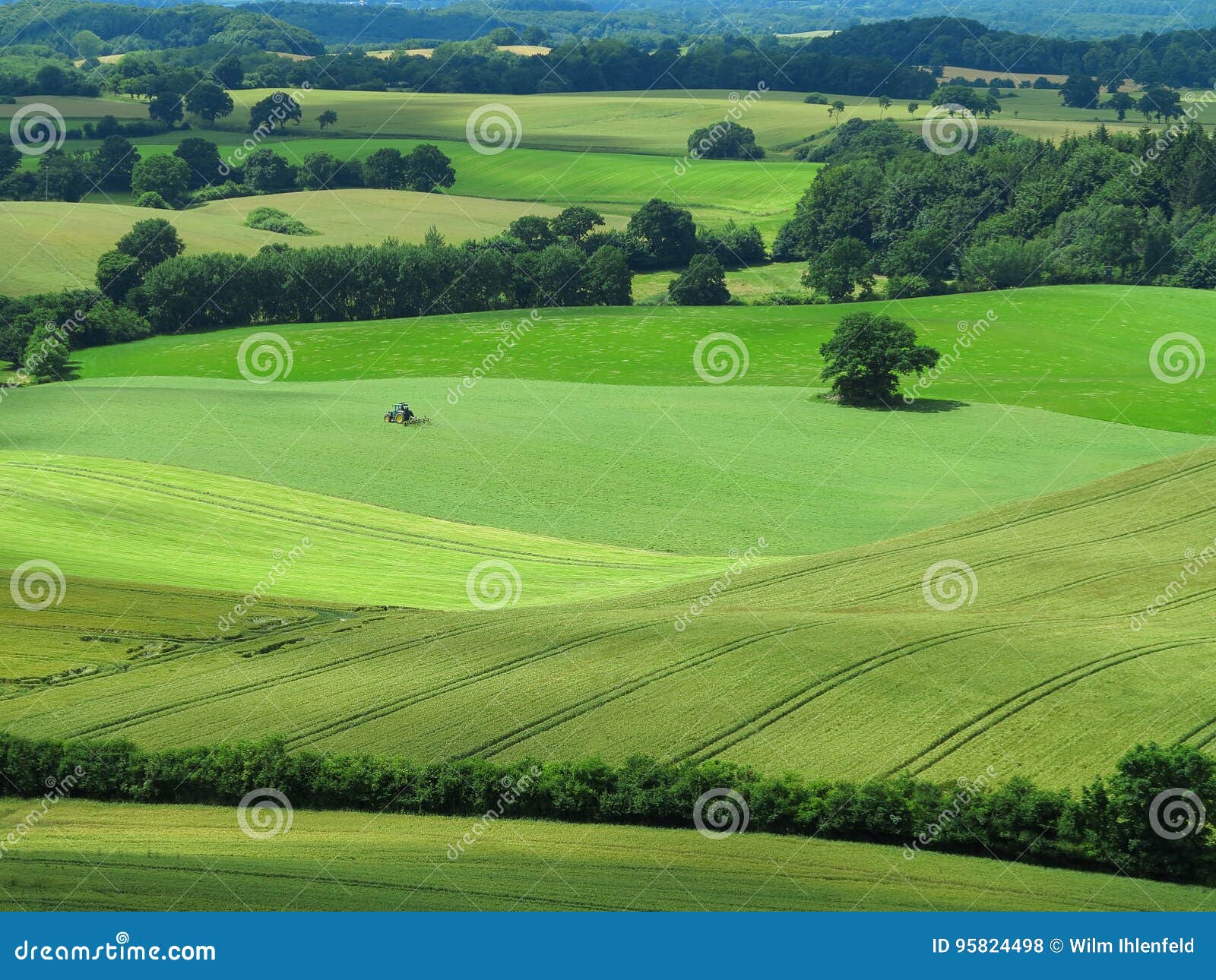 Agrarian Landscape with Tractor Stock Photo - Image of agriculture ...