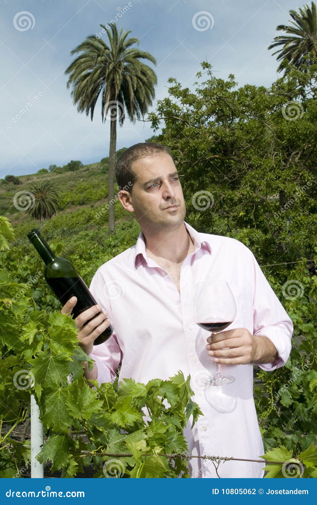 Agrarian man in a vineyard stock photo. Image of agriculture - 10805062