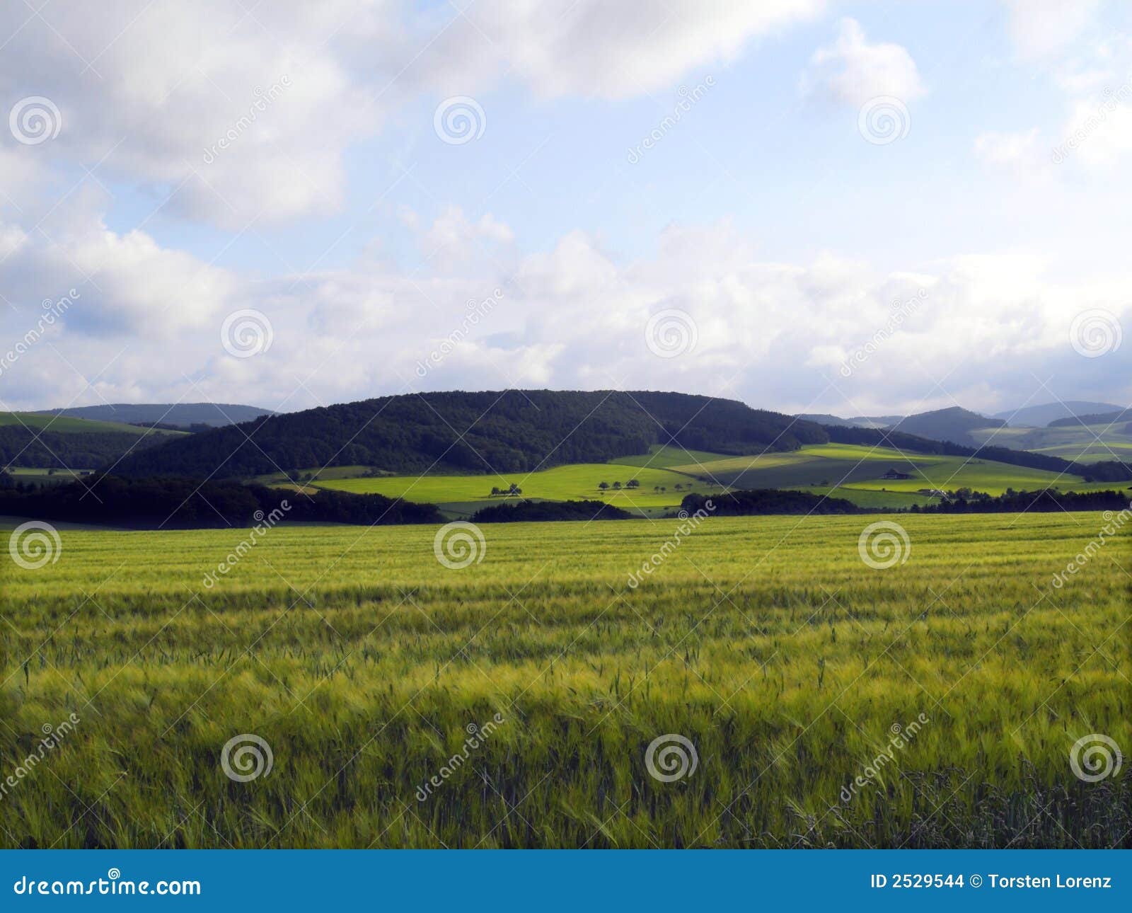 Agrarisch landschap stock foto. Image of landschap, gerst - 2529544