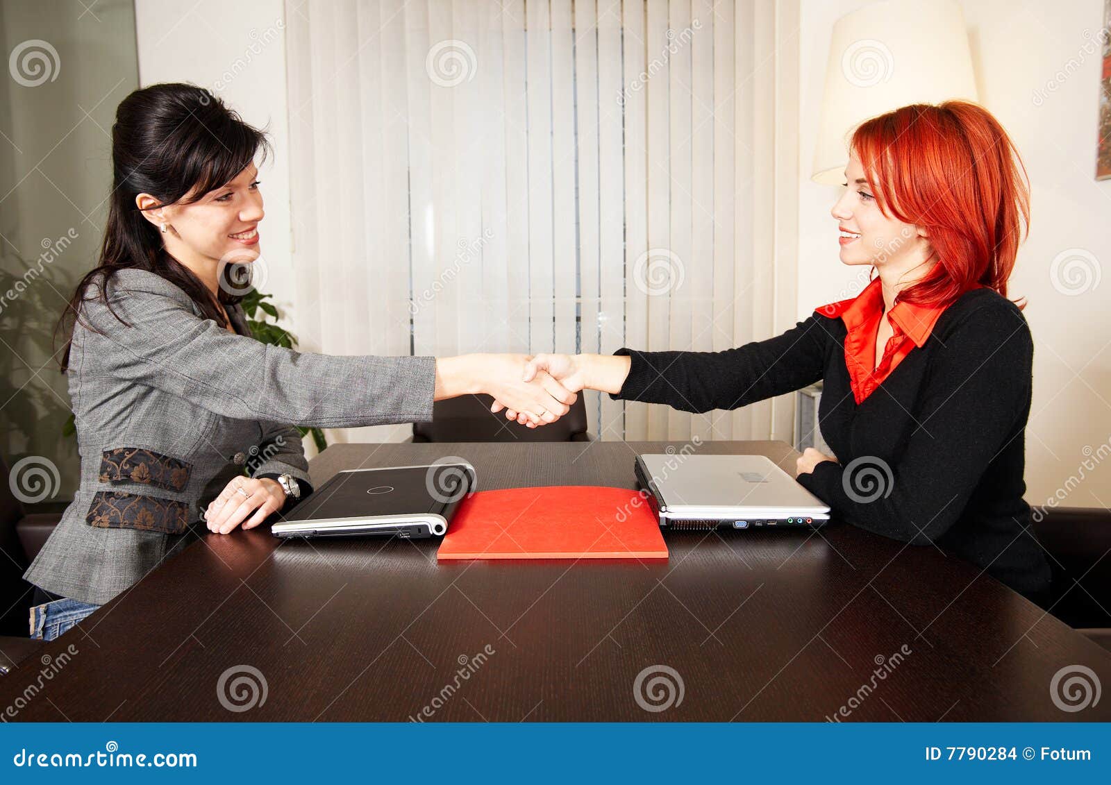 Agree stock photo. Image of females, face, hand, contract - 7790284