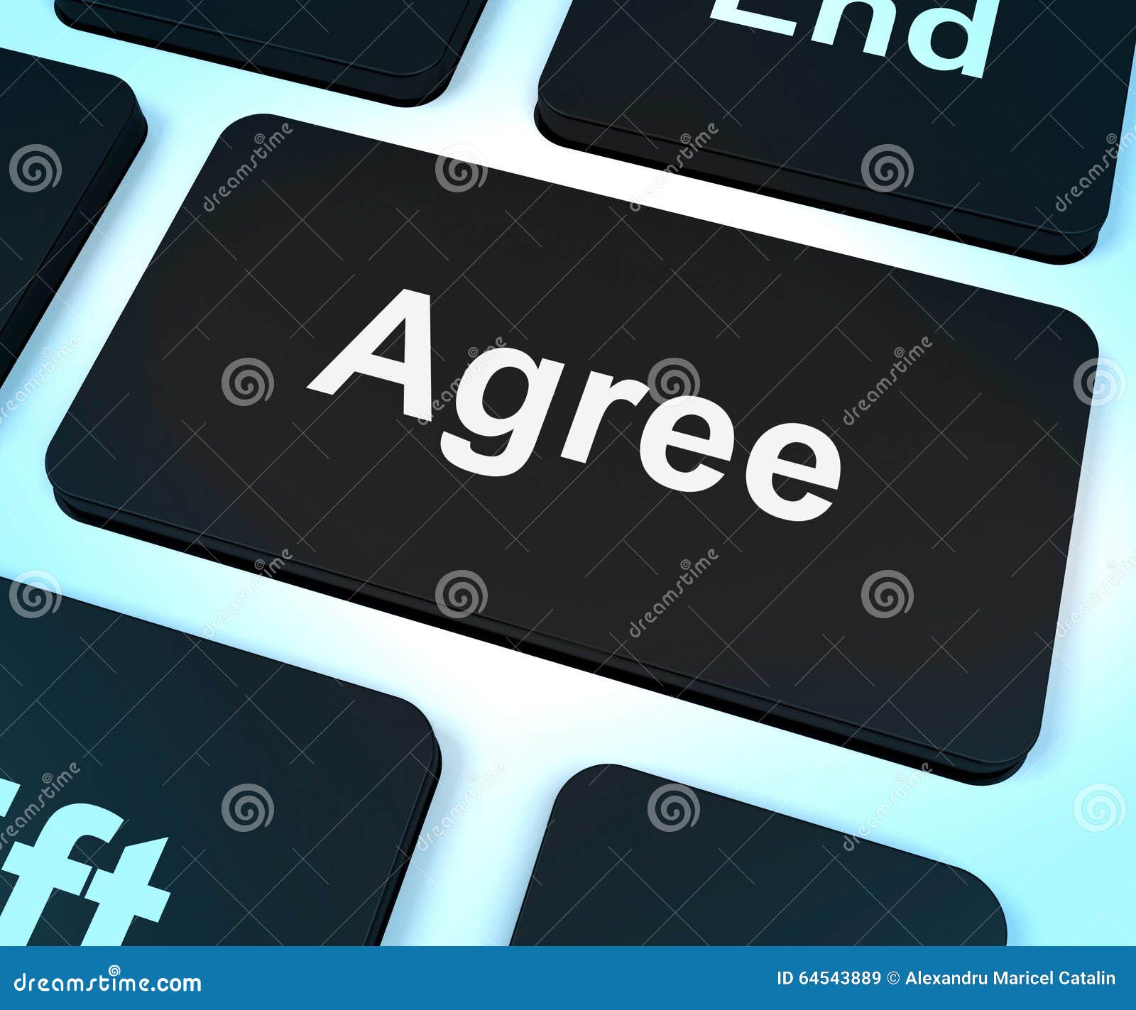 Agree Key for Online Poll or Voting Stock Image - Image of approve ... Agree Key for Online Poll or Voting Stock Image - Image of approve ...