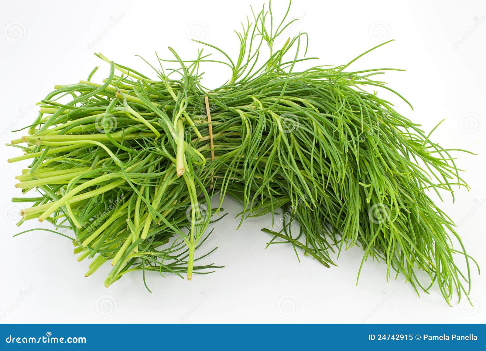 Agretti vegetables stock image. Image of natural, dish - 24742915