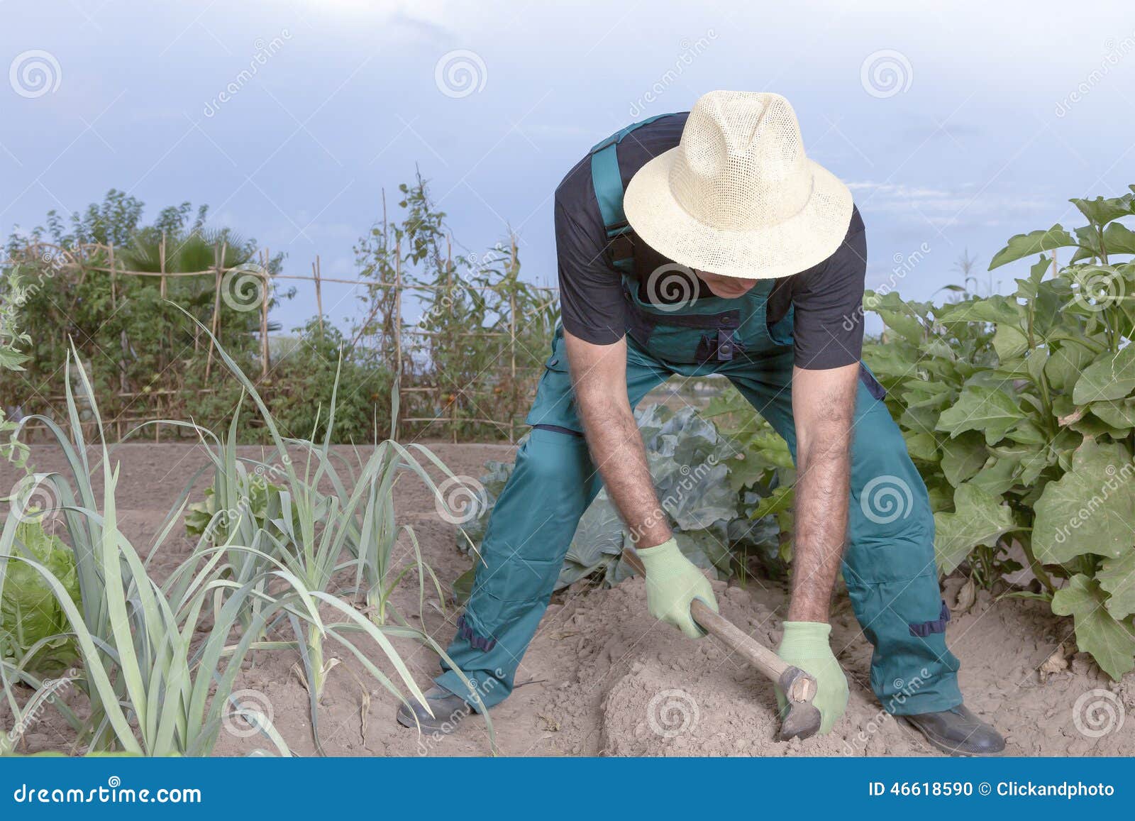 Agricoltore Che Semina Il Suo Campo Fotografia Stock - Immagine di ... Agricoltore Che Semina Il Suo Campo Fotografia Stock - Immagine di ...