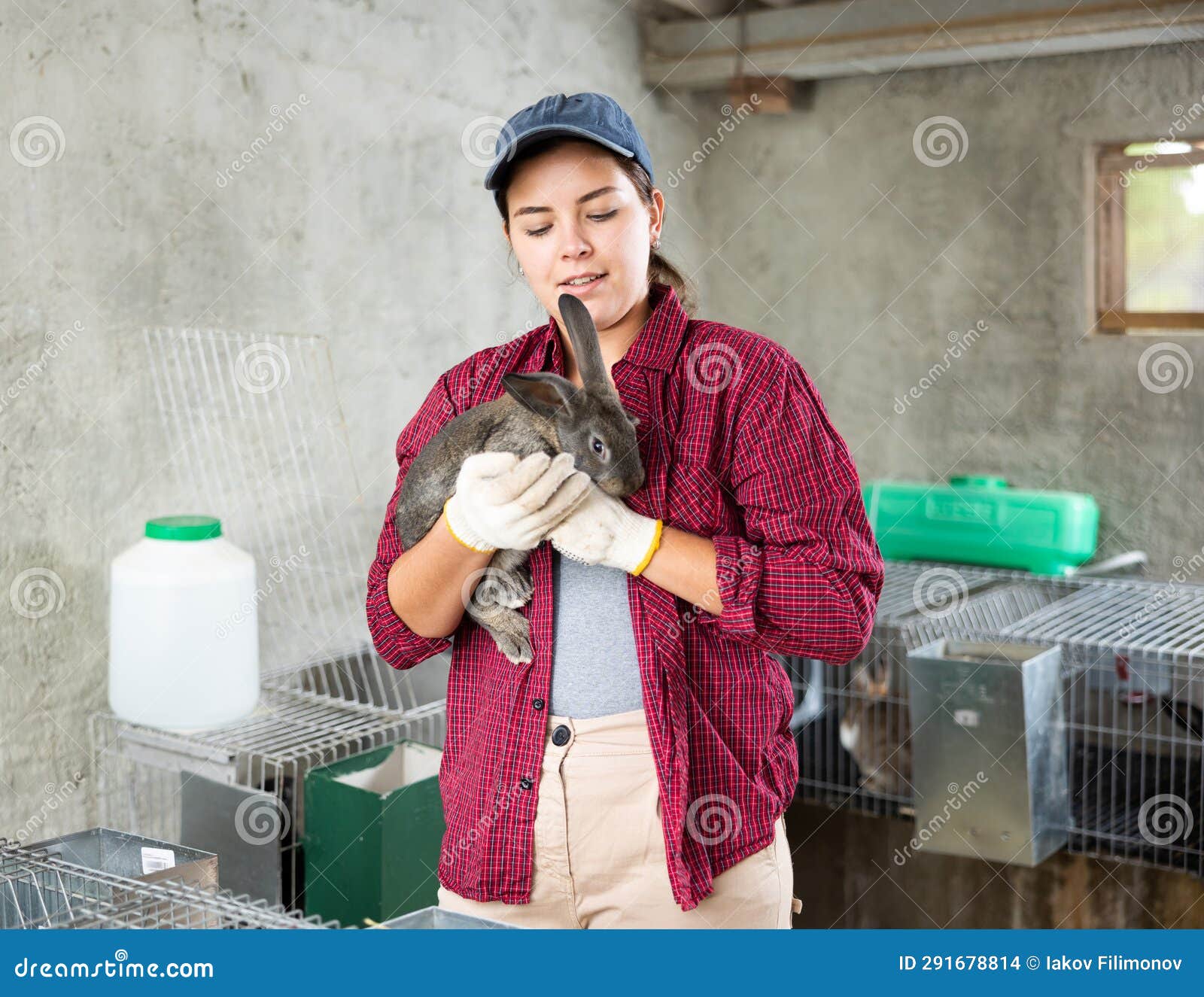 Agricultora Con Un Conejo En Las Manos En Su Granja. El Agricultor Se ... Agricultora Con Un Conejo En Las Manos En Su Granja. El Agricultor Se ...
