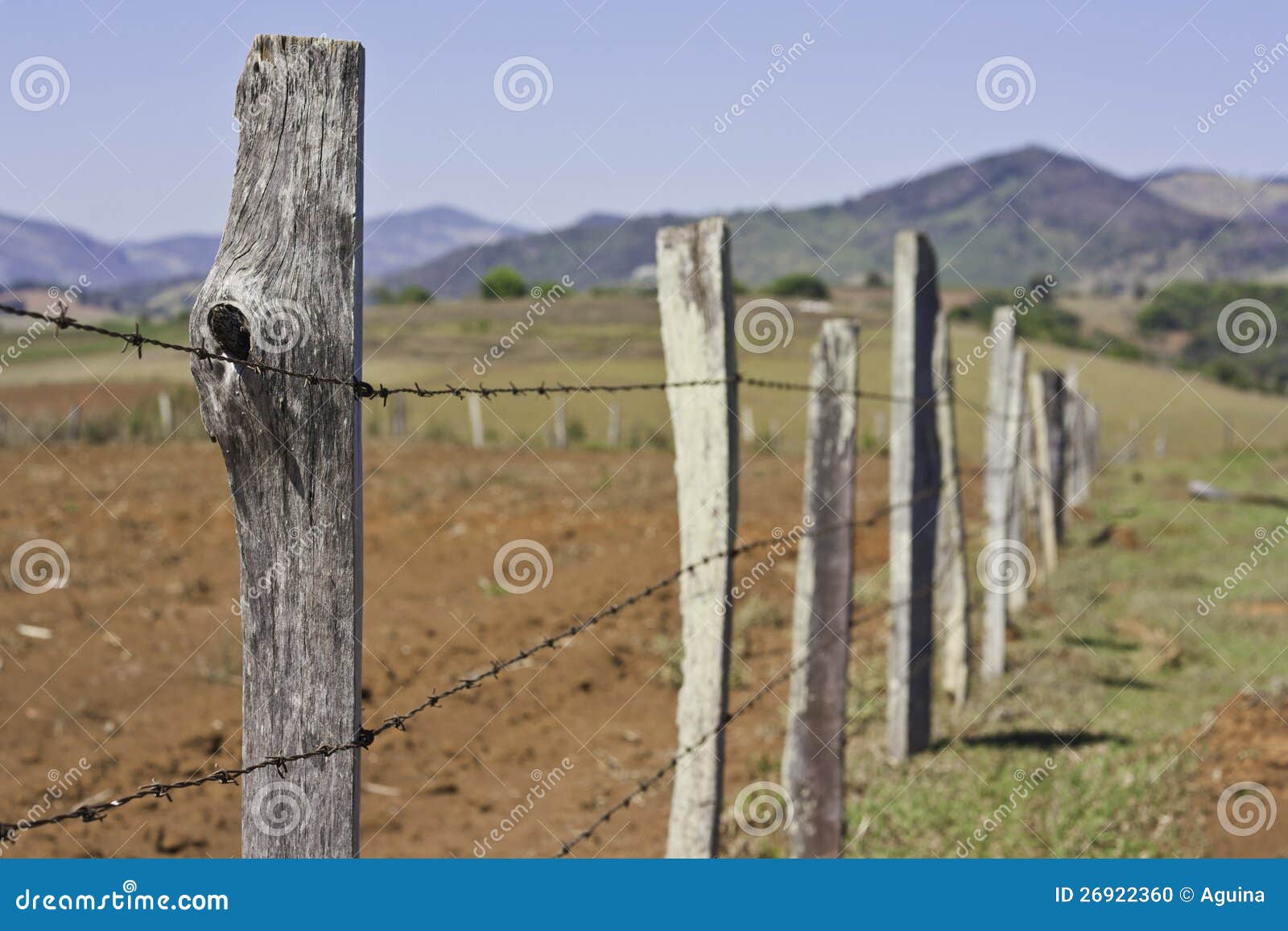 An Agricultural Barbed Wire Fence Stock Photo - Image of gerais, wire ...