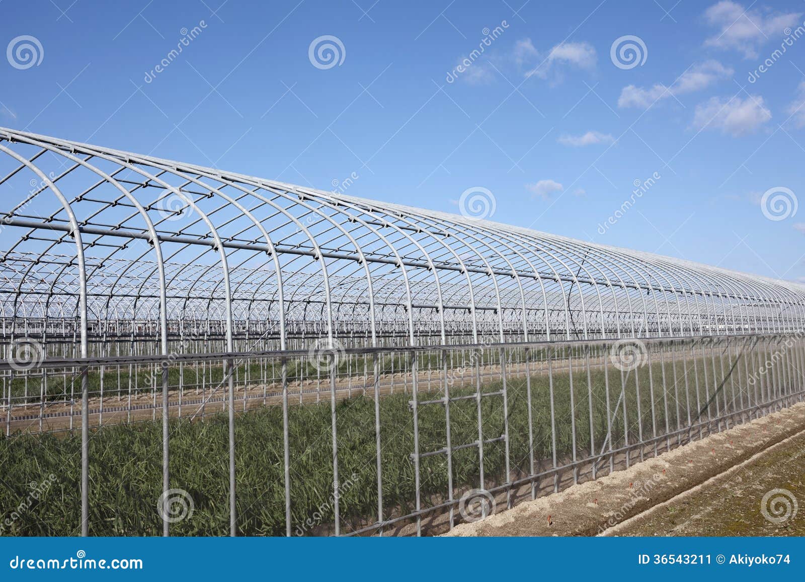 Agricultural building stock image. Image of glasshouse - 36543211