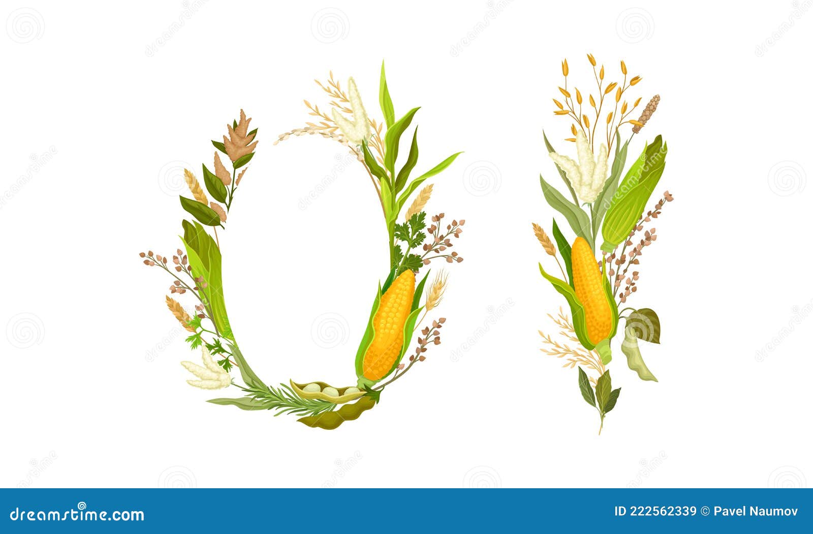 Agricultural Composition with Different Spikelet and Grain Crop Like ...
