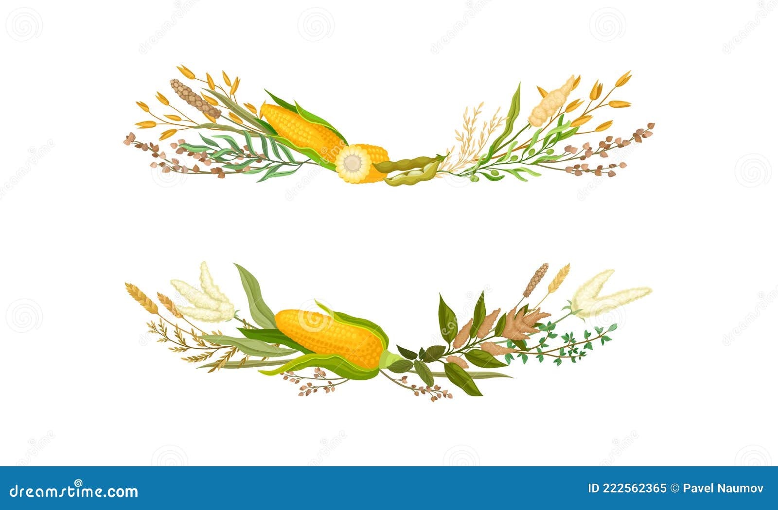 Agricultural Composition With Different Spikelet And Grain Crop Like ...