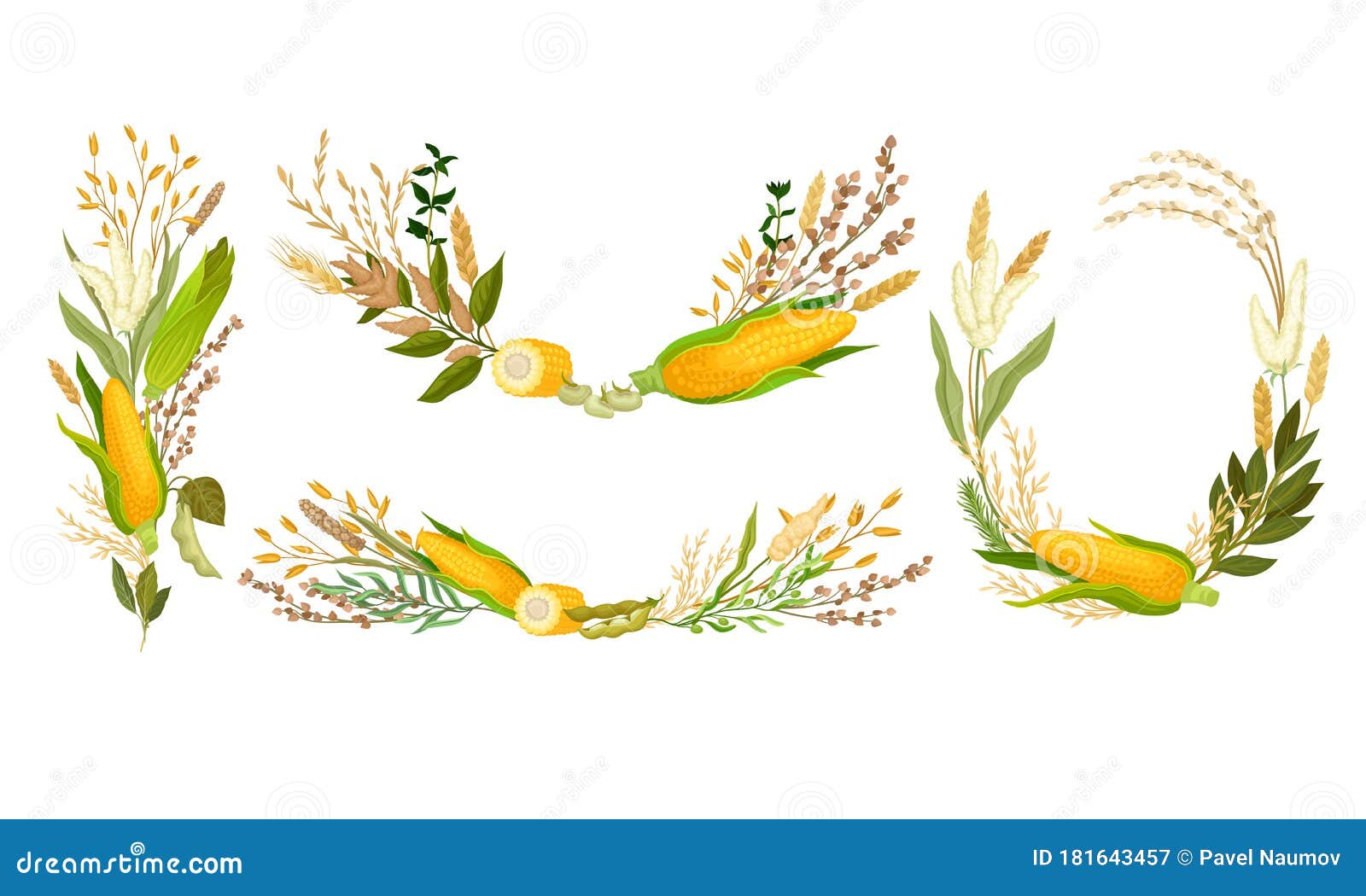 Agricultural Composition With Different Spikelet And Grain Crop Like ...