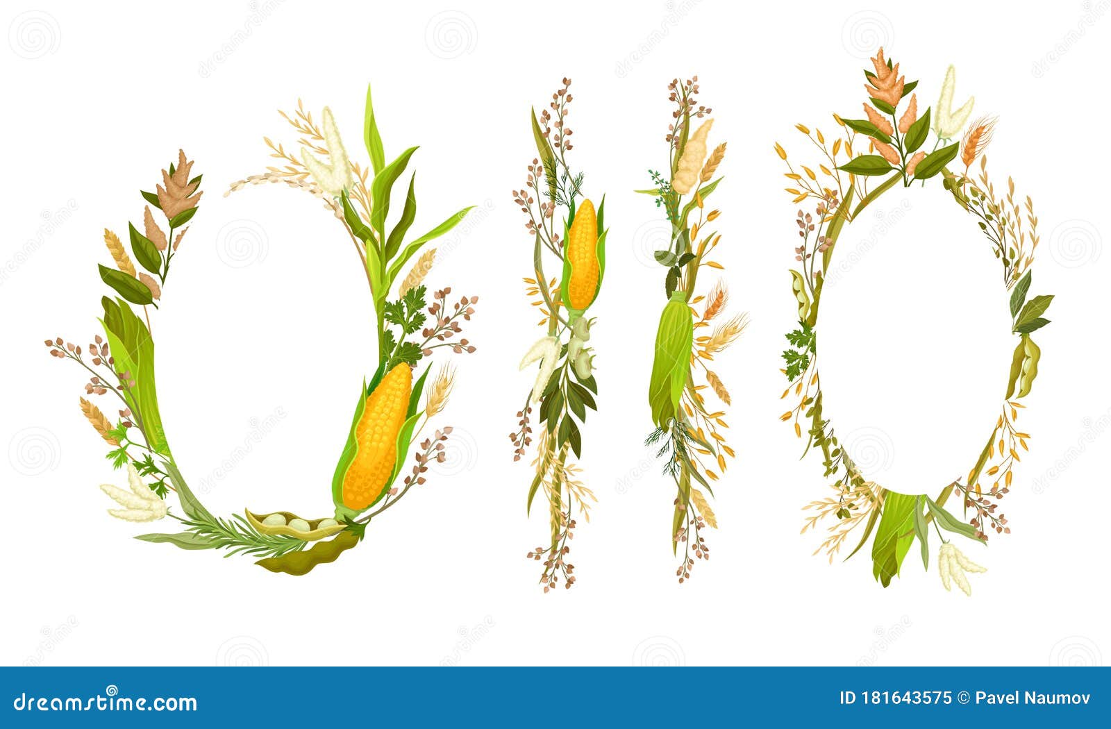 Agricultural Composition With Different Spikelet And Grain Crop Like ...