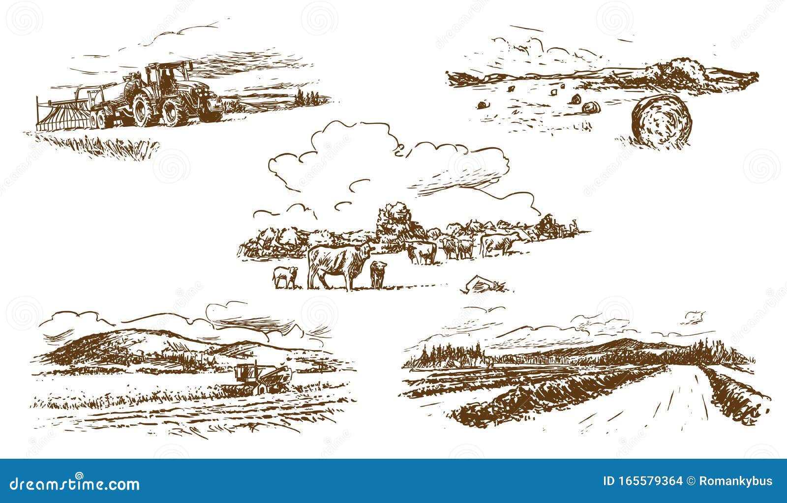 Agricultural Countryside Landscape, Set of Hand-drawn Illustrations ...