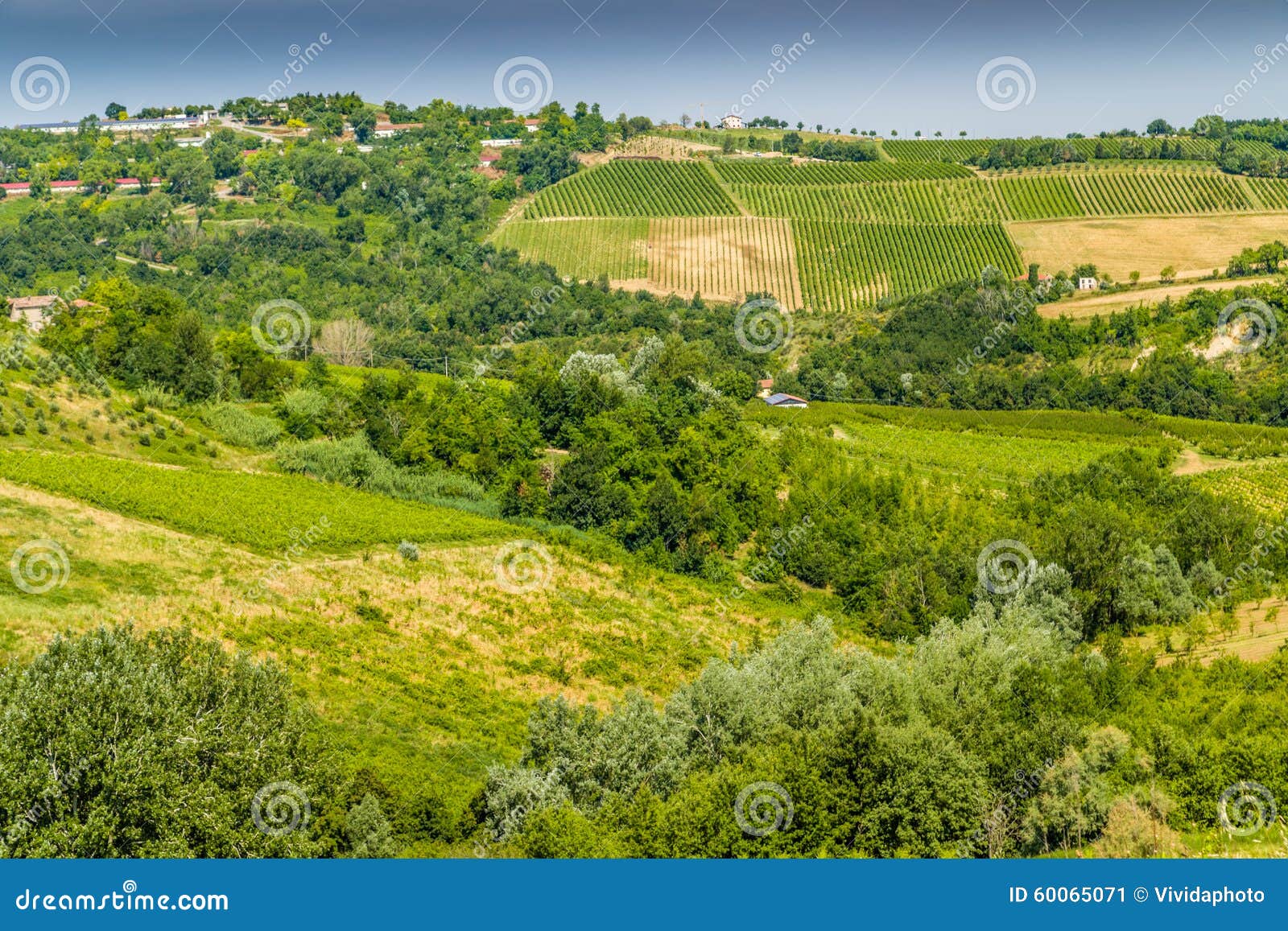 Agricultural Cultivated Fields in Italy Stock Image - Image of ...