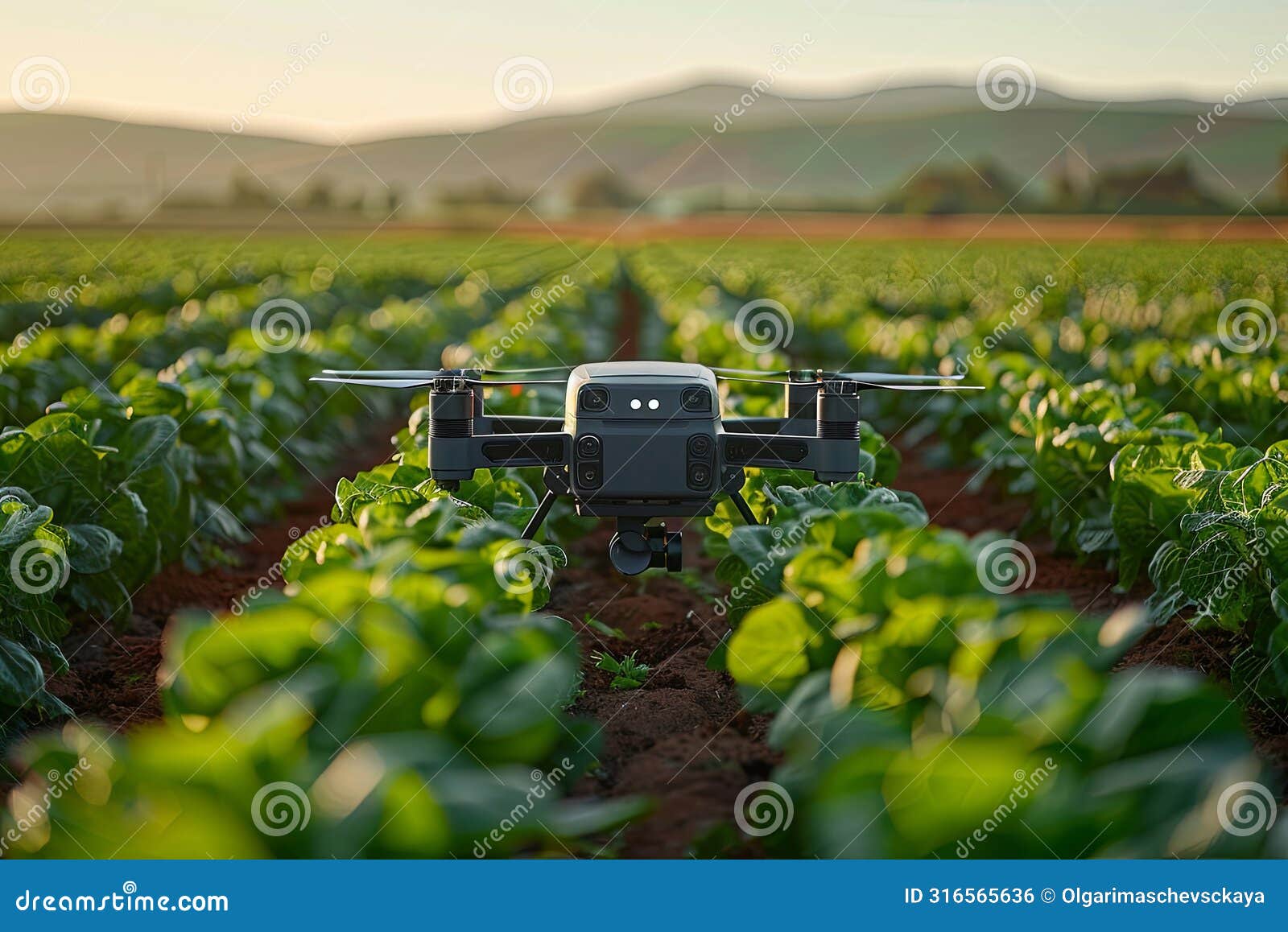 Agricultural Drone Flies Over Crops. Using the Latest Technologies ...