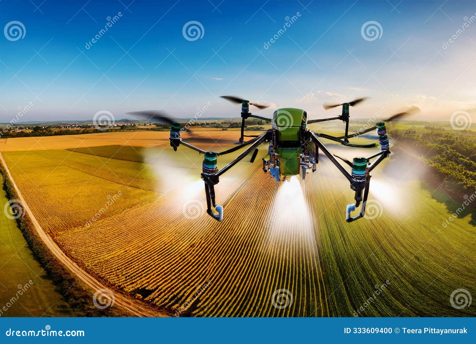 Agricultural Drones Fly To Spray Fertilizer Over Rice Plants in the ...