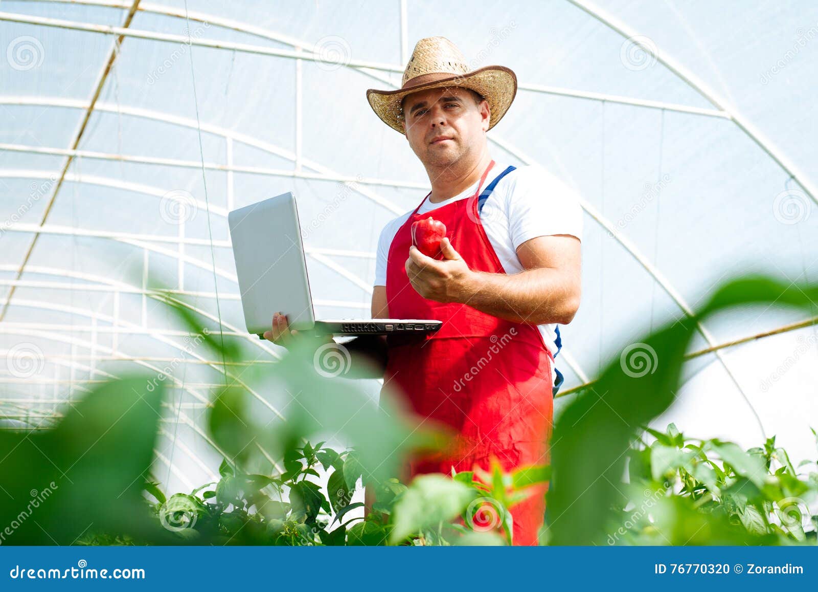 Agricultural Engineer Working in the Greenhouse. Stock Photo - Image of ...