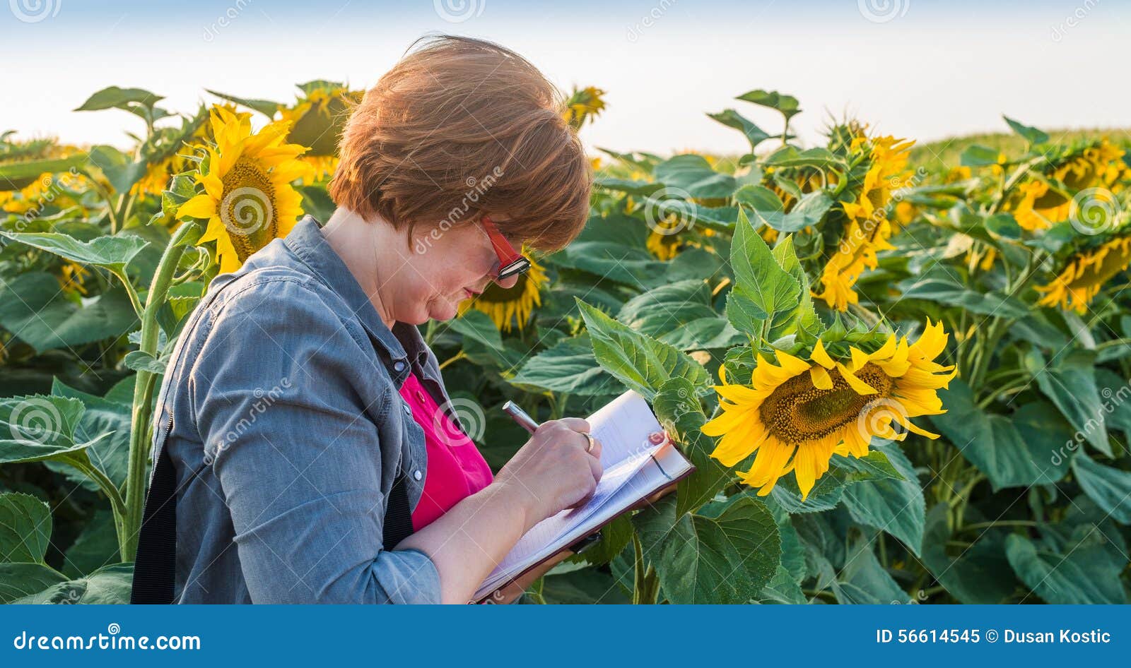 Agricultural expert stock image. Image of monoculture - 56614545