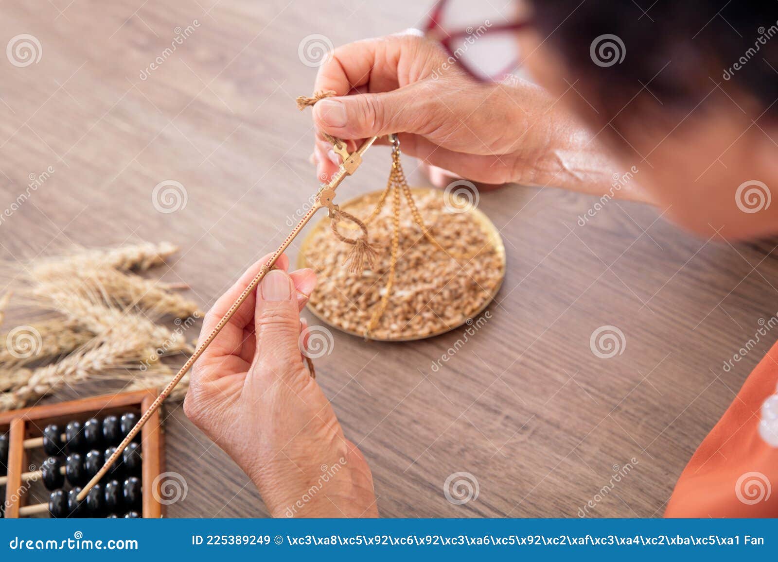 Agricultural Experts are Estimating the Output of New Wheat by Sampling ...