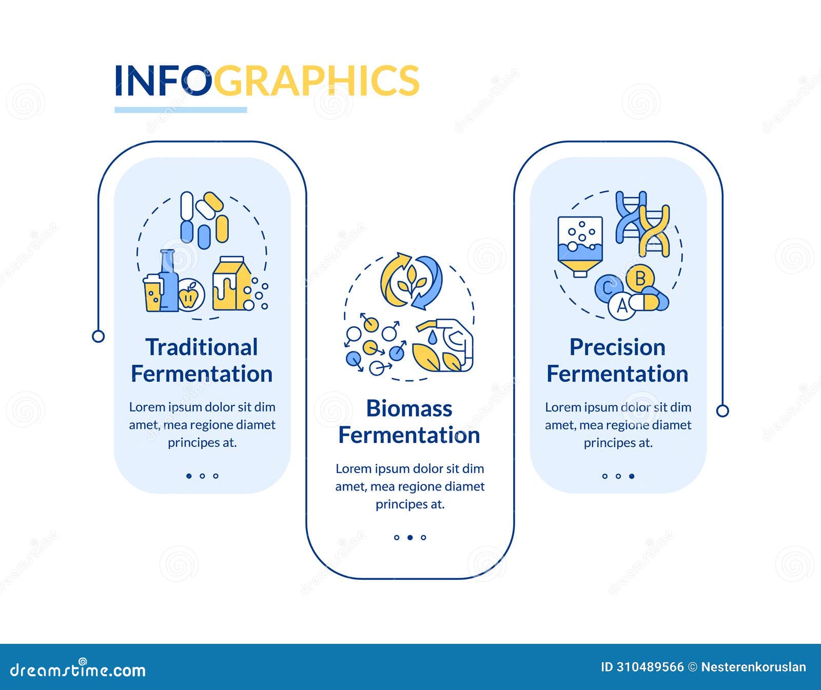 Agricultural Fermentation Rectangle Infographic Template Stock Vector ...
