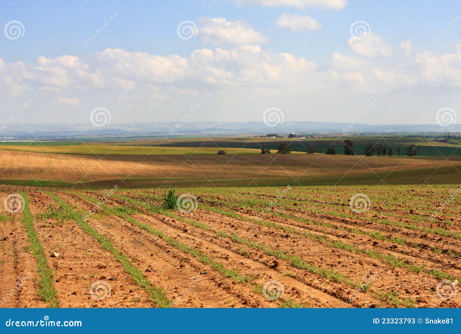 Agricultural field stock image. Image of ground, outdoor - 23323793