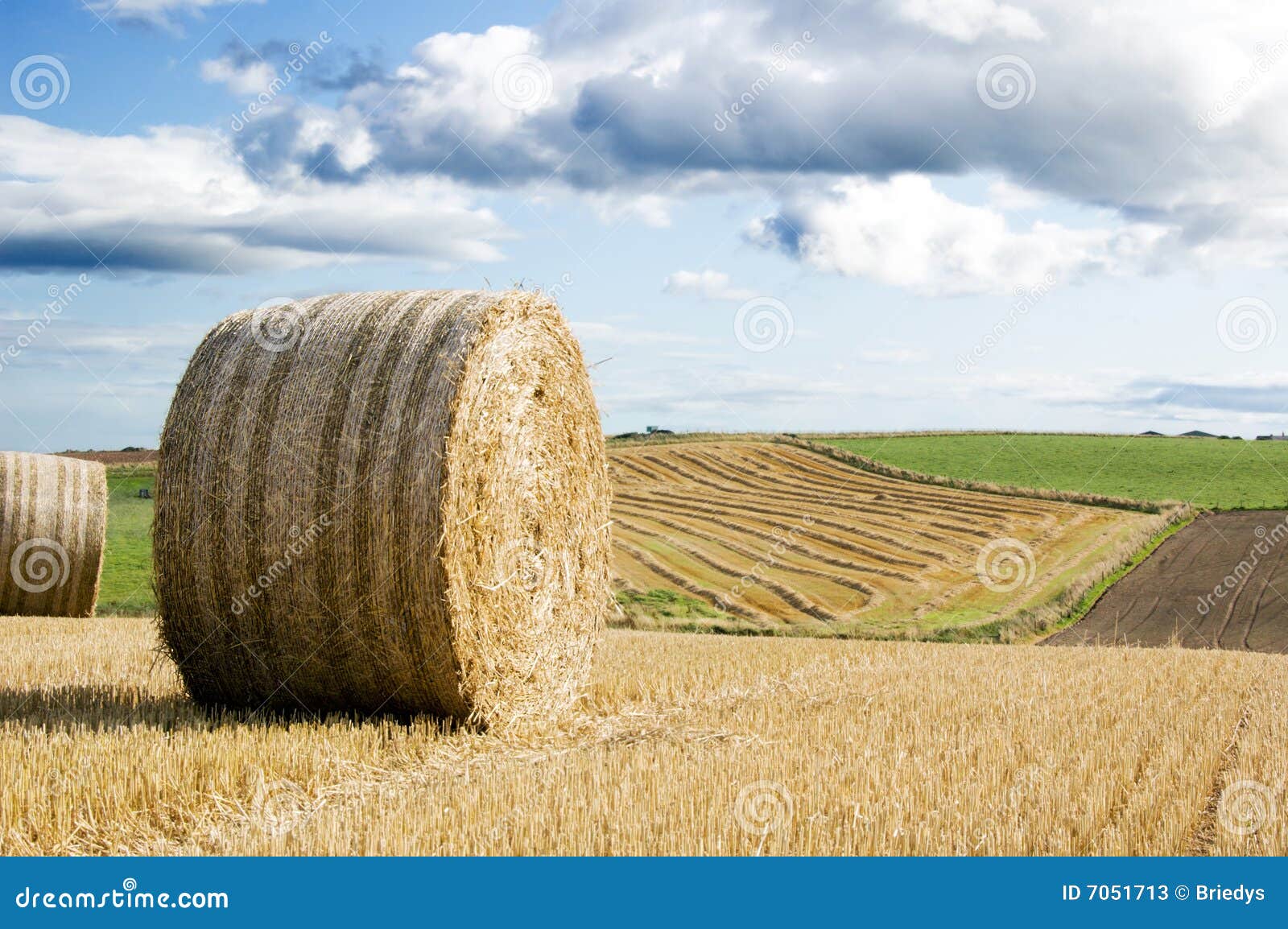 Agricultural field stock image. Image of field, farming - 7051713