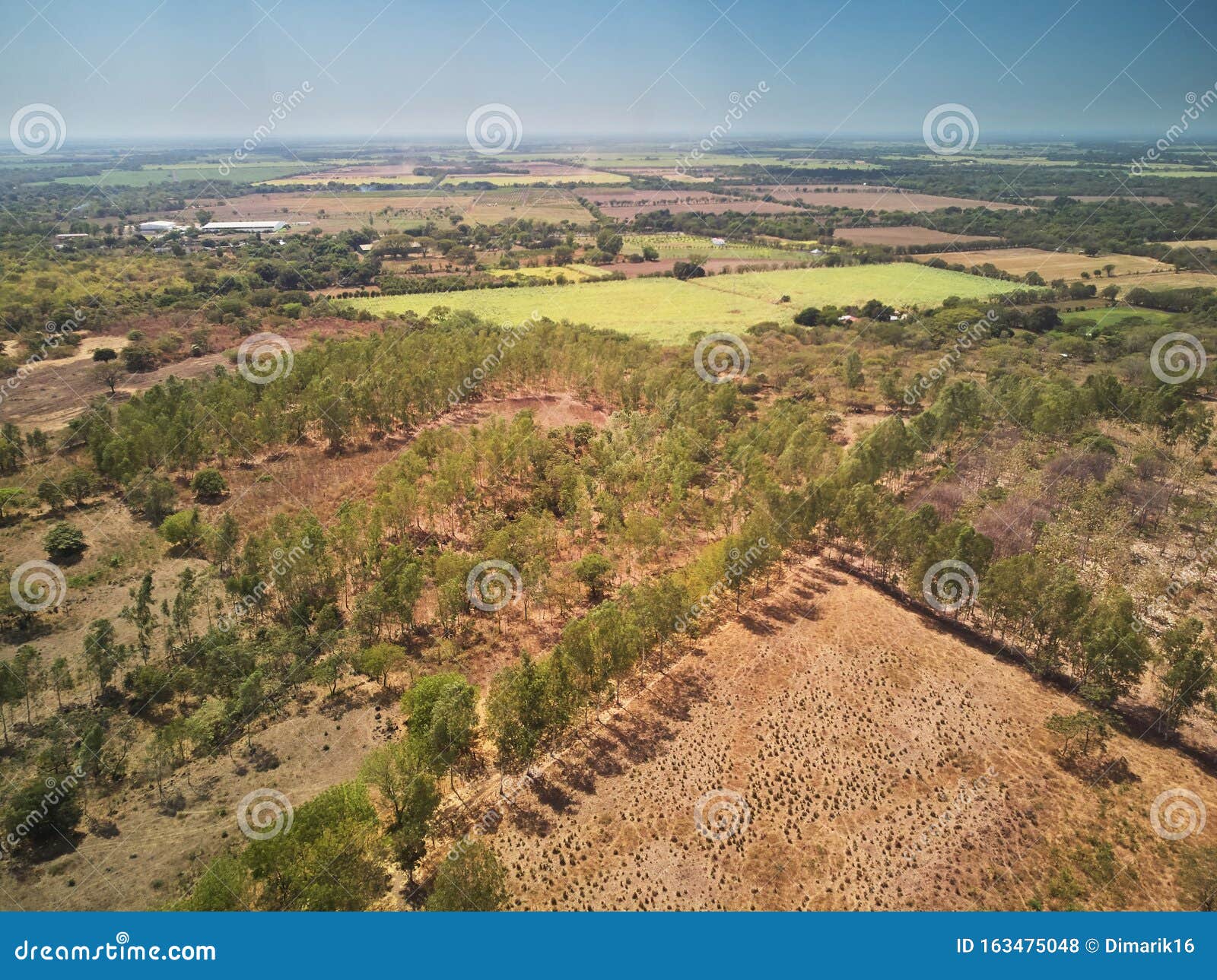 Agricultural Field Above View Stock Photo - Image of field, crops ...