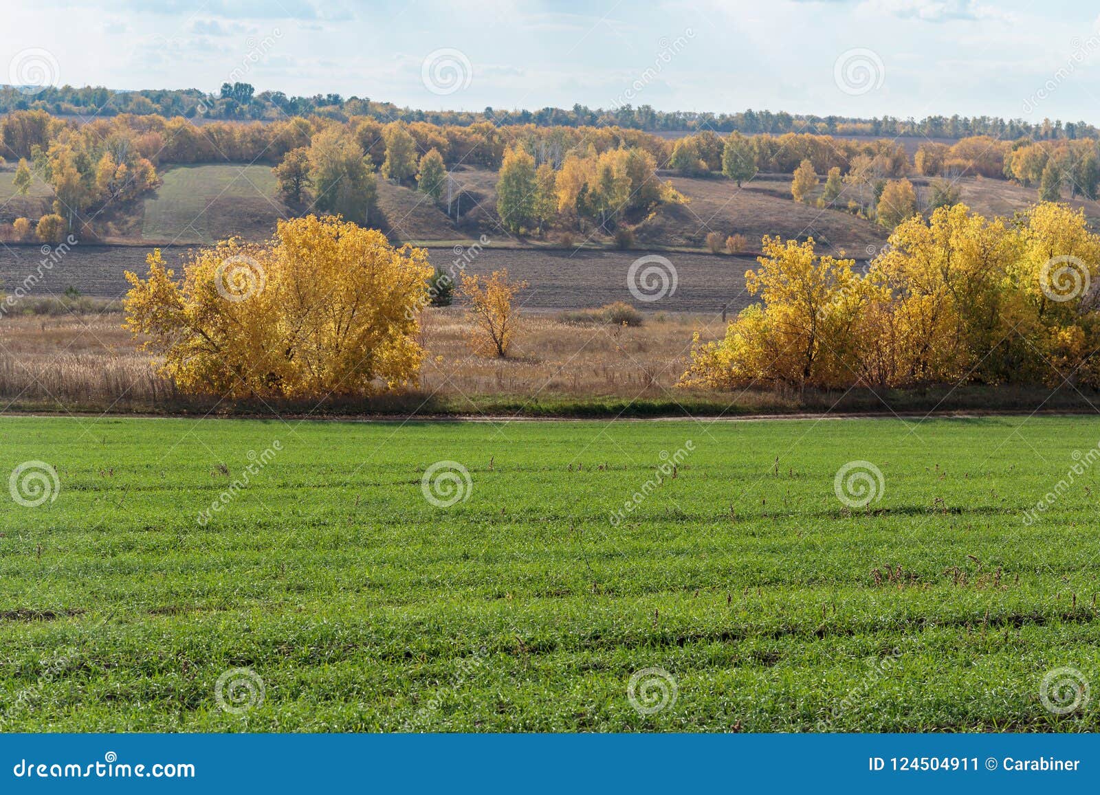 Agricultural Field in Europe Stock Image - Image of green, hill: 124504911