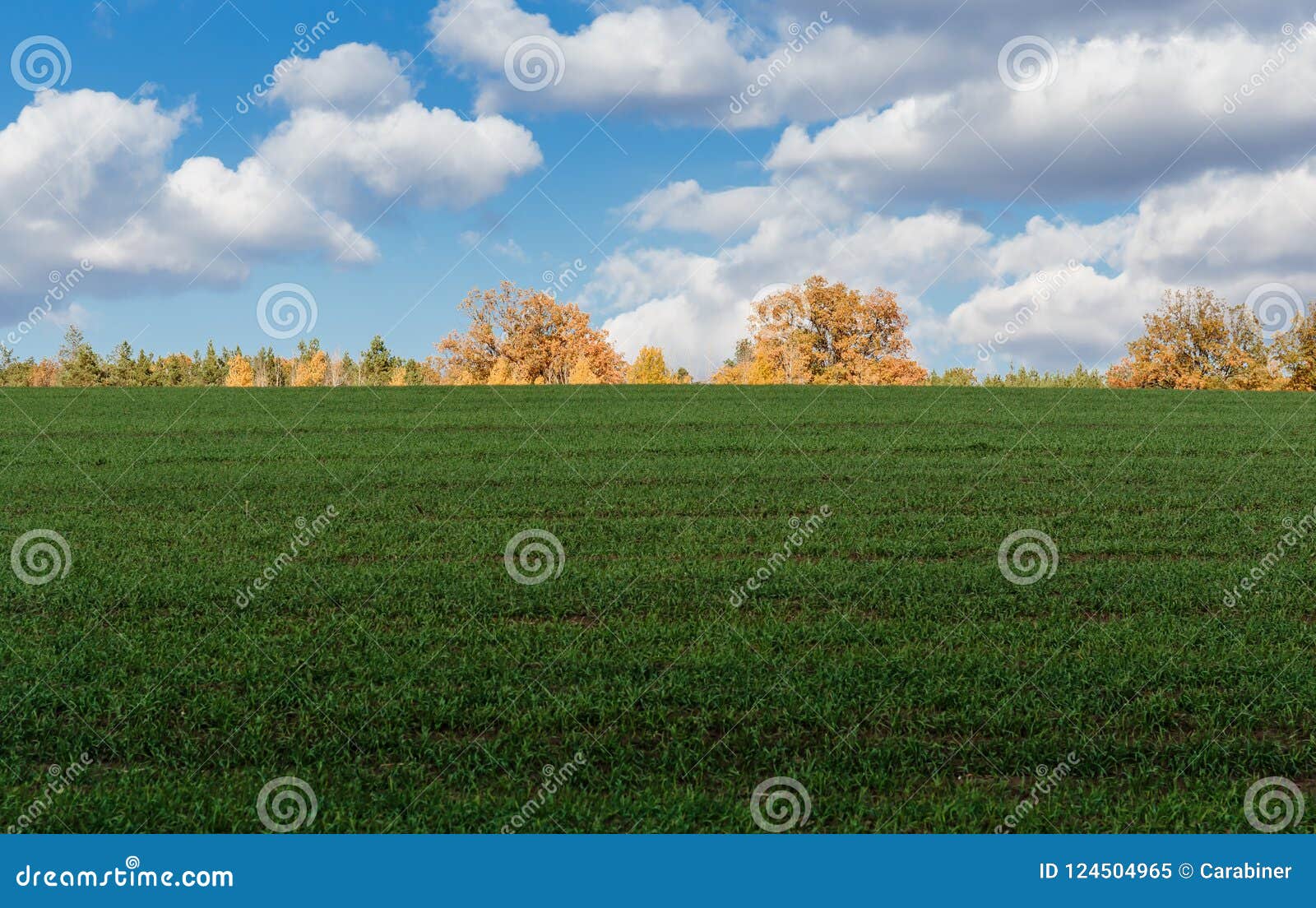 Agricultural Field in Europe Stock Image - Image of fields, europe ...