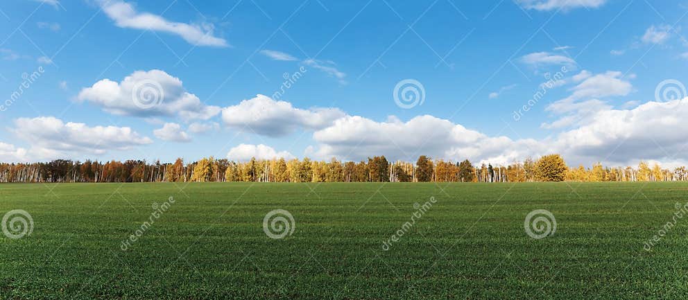 Agricultural Field in Europe Stock Image - Image of crop, fields: 67197811