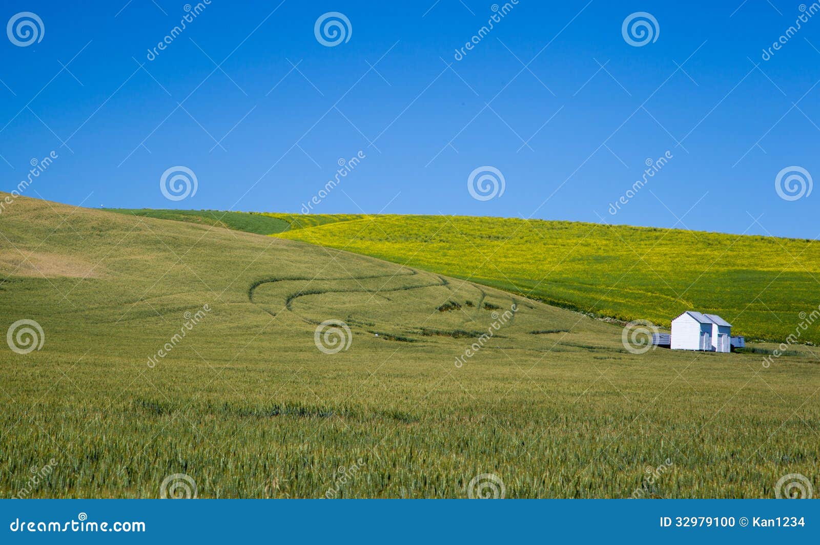 Agricultural Field in Rural Area of Washington State Stock Photo ...