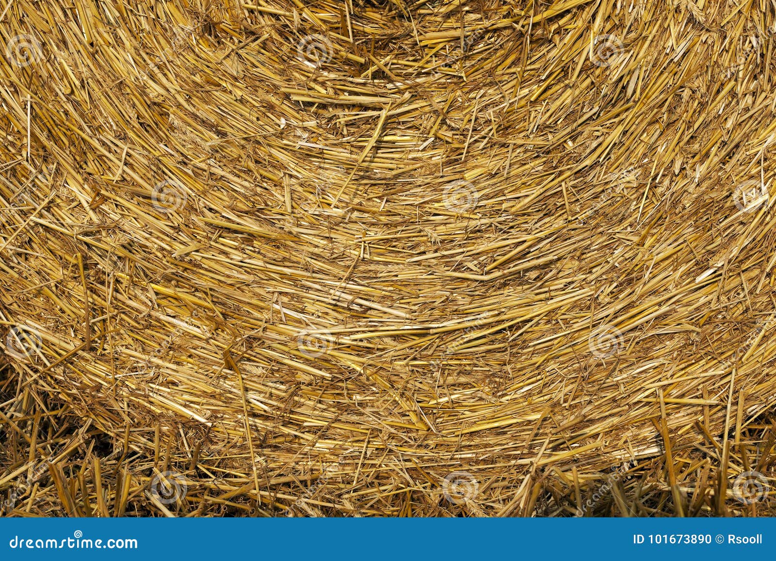 Stack of Straw in the Field Stock Photo - Image of assembly, landscape ...