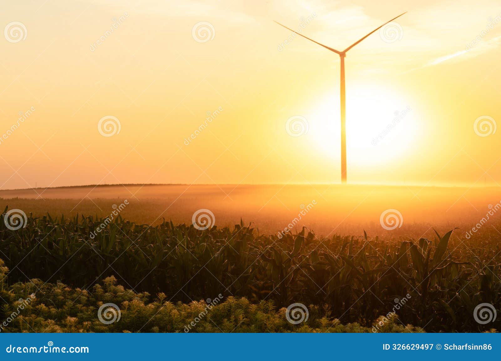 Agricultural Field with Wind Turbines at Sunset Stock Image - Image of ...