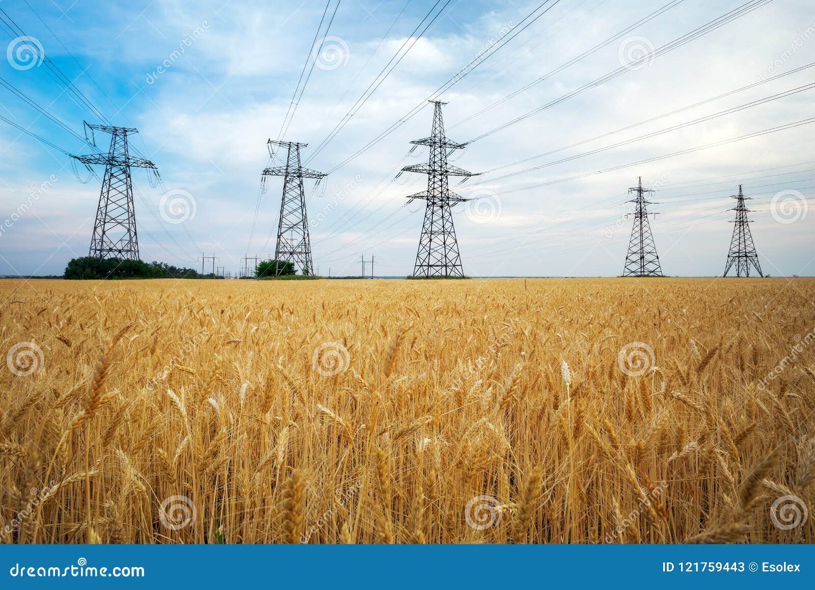 9,372 Wheat Power Stock Photos - Free & Royalty-Free Stock Photos from ...