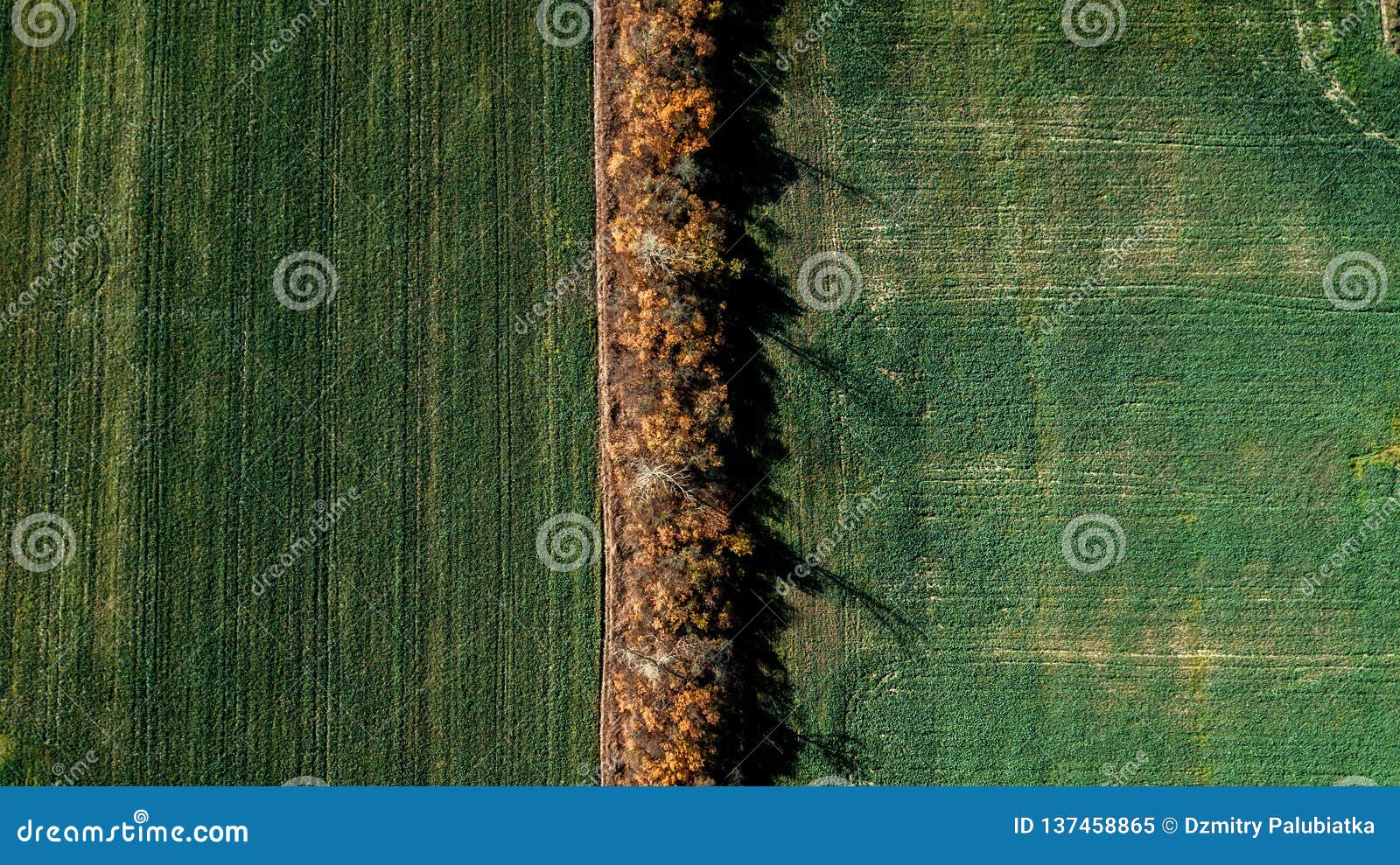 Agricultural Fields from Above. Bird`s Eye View Stock Image - Image of ...