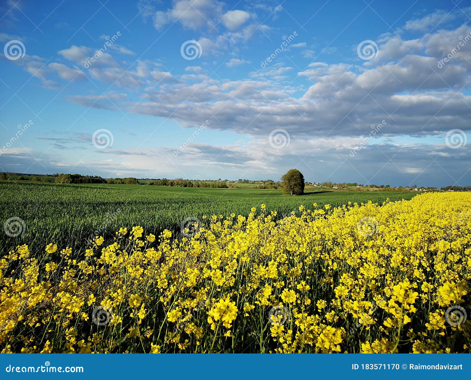 Agricultural Fields in Spring Stock Photo - Image of blue, clouds ...