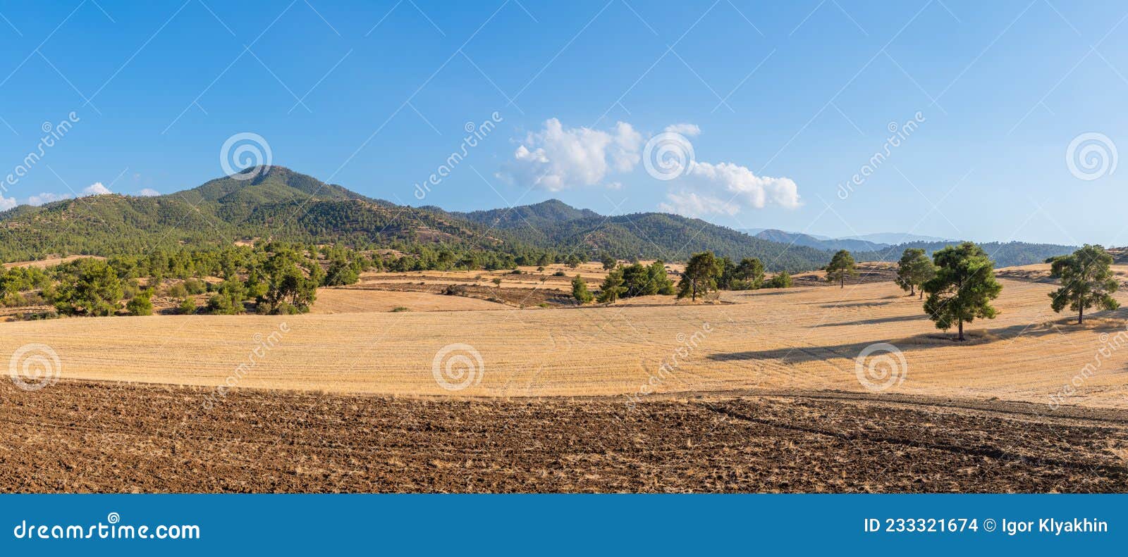 Agricultural Fields of Cyprus on the Background of Mountains Stock ...