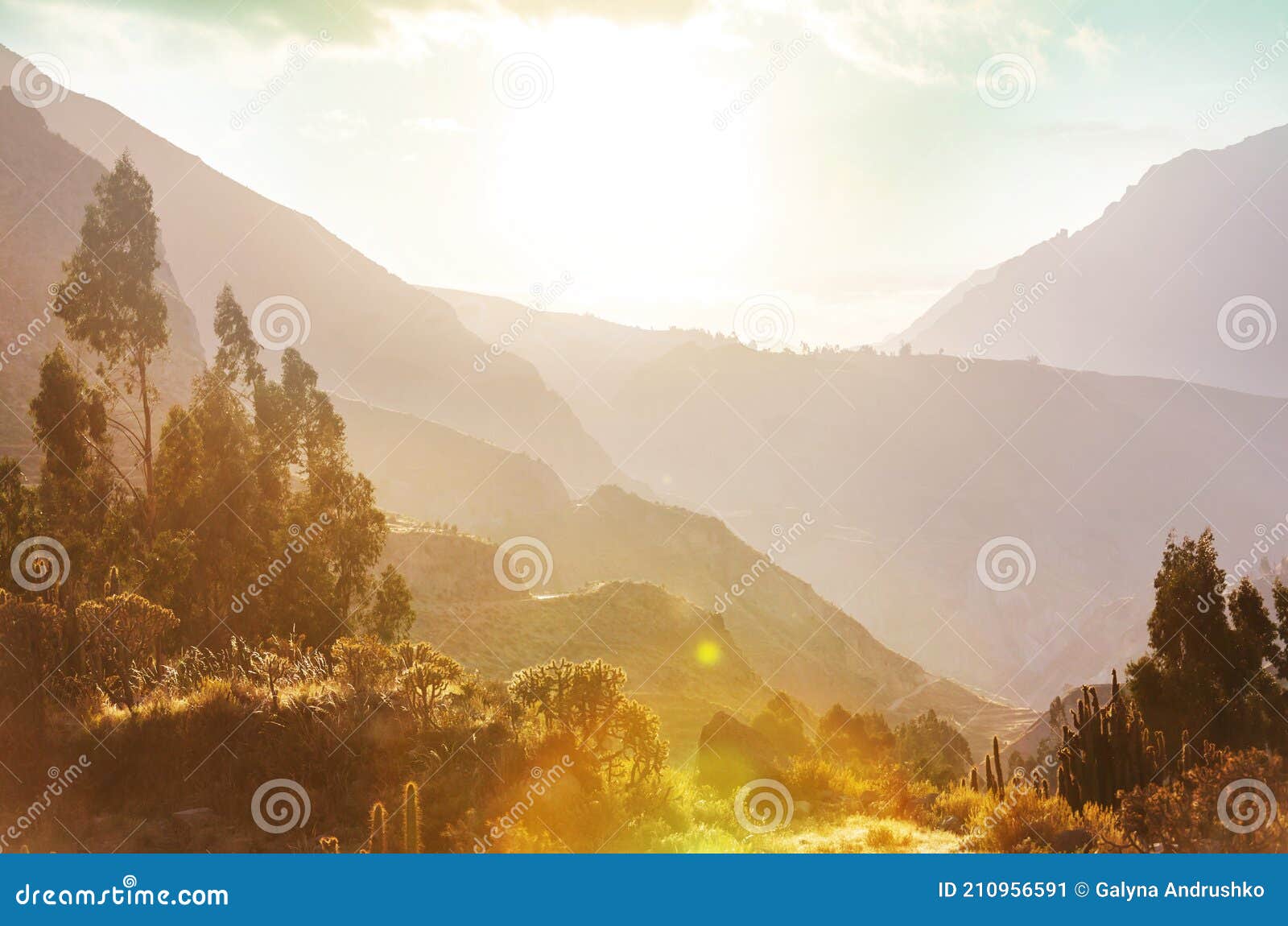 Fields in Peru stock image. Image of high, daytime, landscape - 210956591