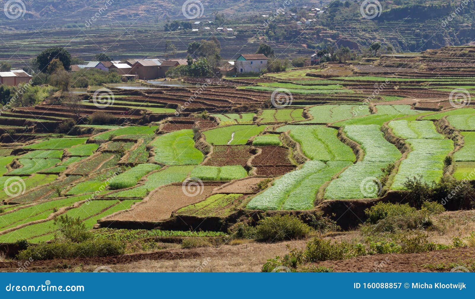 Agricultural Fields in Madagascar Stock Image - Image of beautiful ...