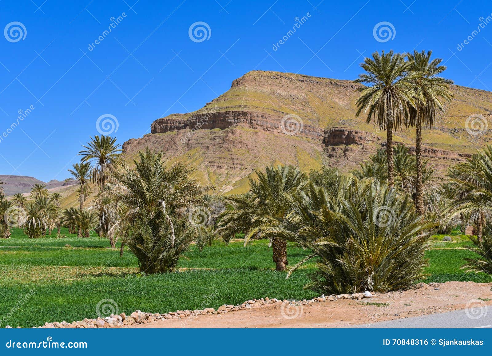 Agricultural Fields, Morocco Landscape Stock Photo - Image of rural ...