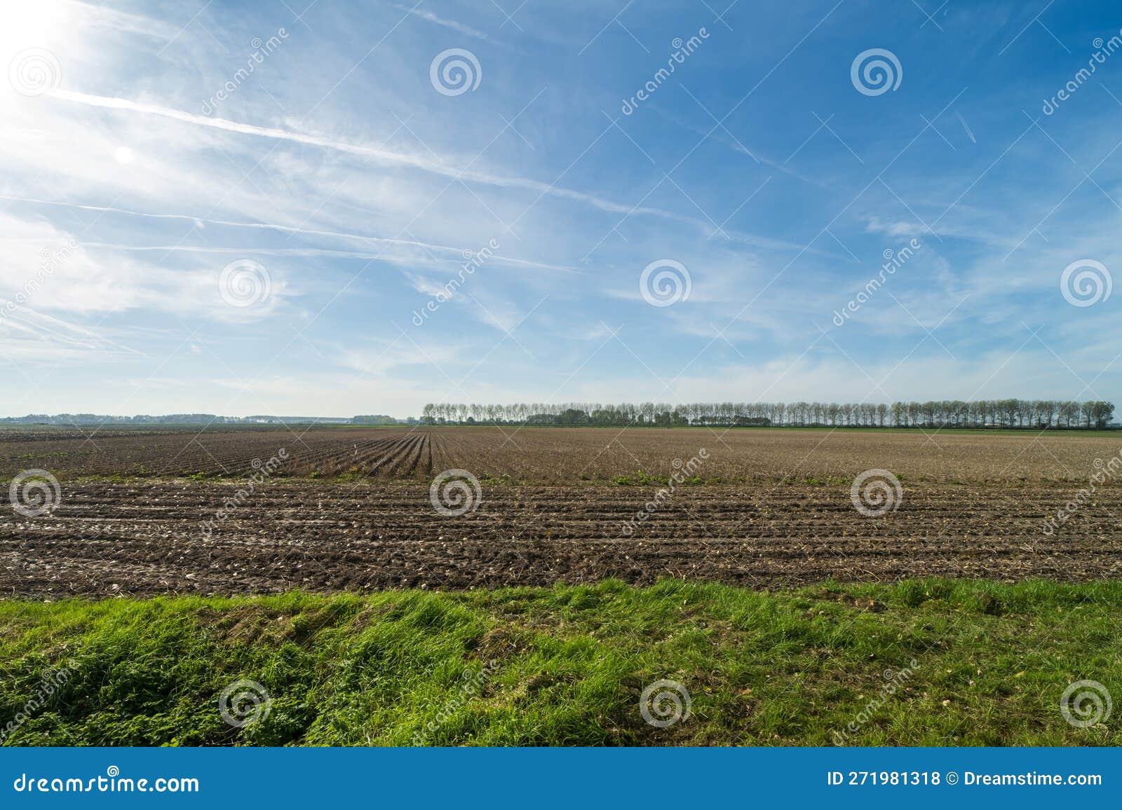 Agricultural Fields Near Sluis, the Netherlands Stock Photo - Image of ...