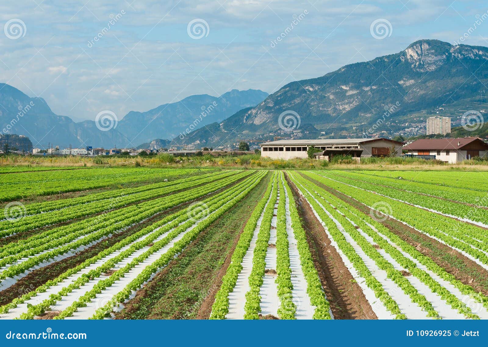 Agricultural Fields in Northern Italy Stock Image - Image of farm ...