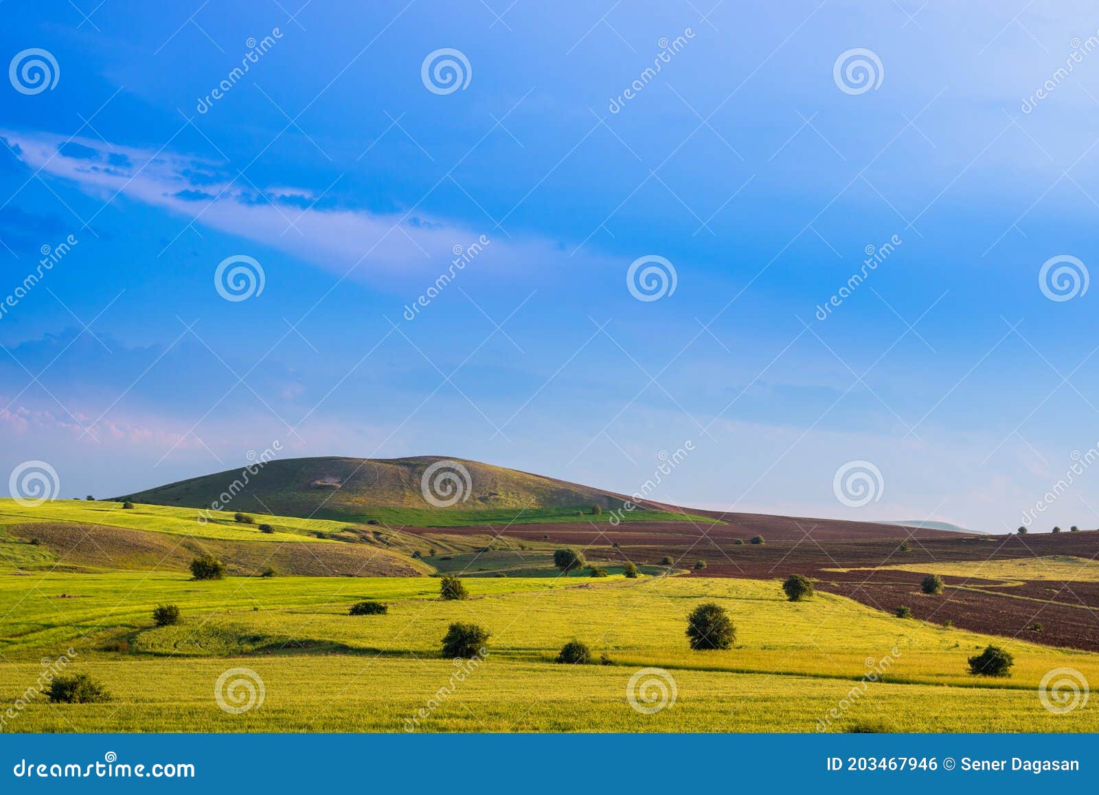 Agricultural Fields and Sparse Trees. Hills and Dramatic Sky on the ...