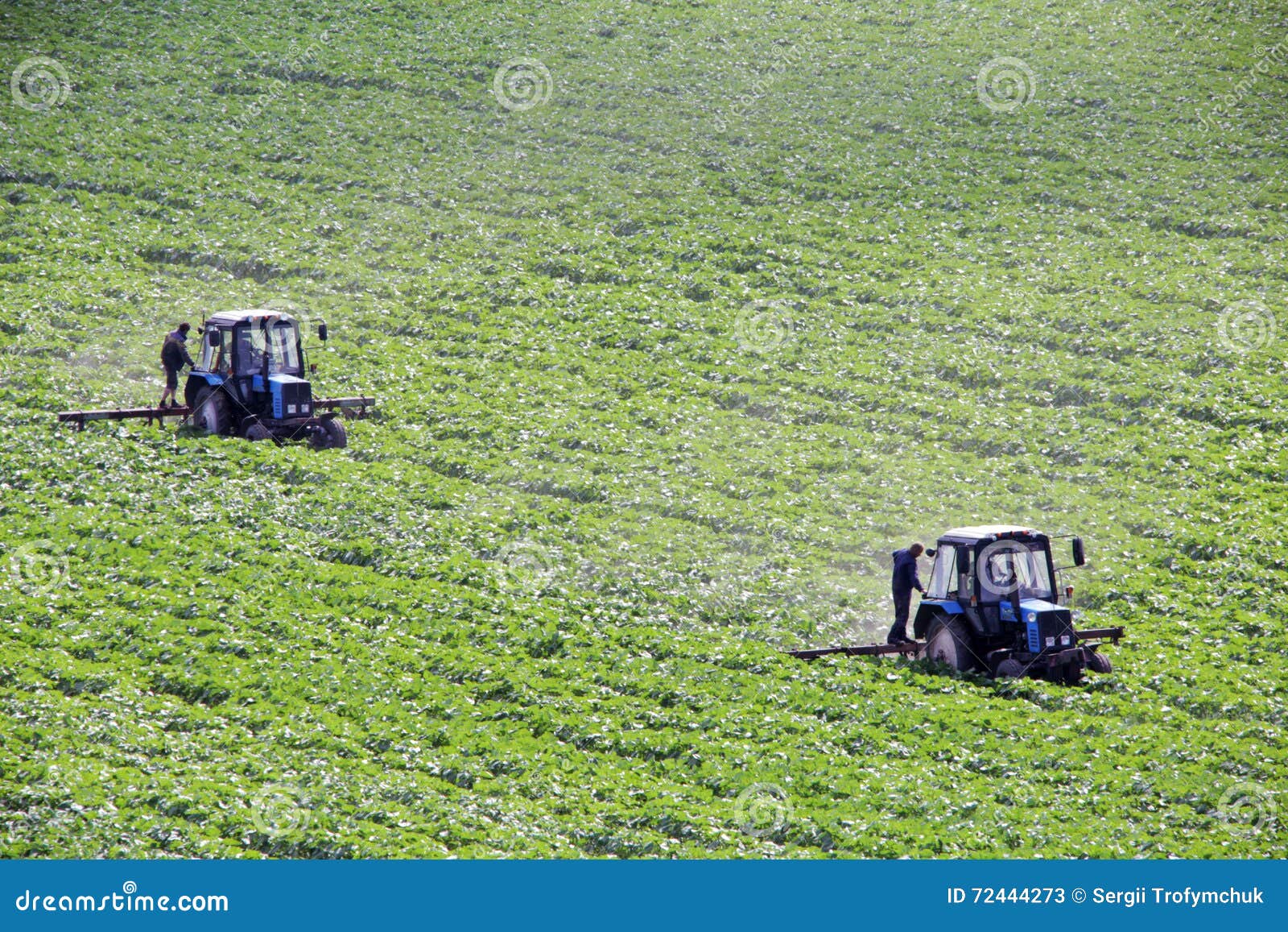 Agricultural Fieldwork, Two Tractors Weeding Field Stock Image - Image ...