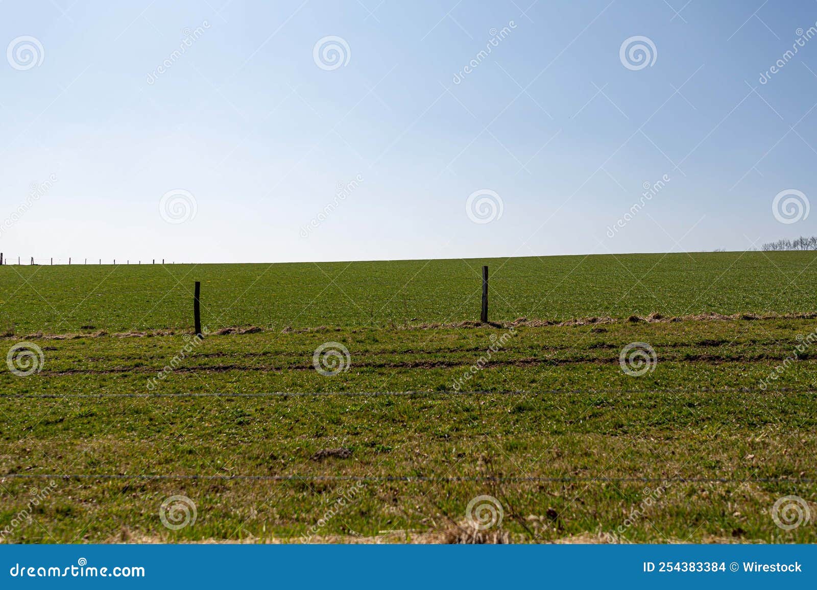 Agricultural Grass Field in the Daytime Stock Photo - Image of grass ...