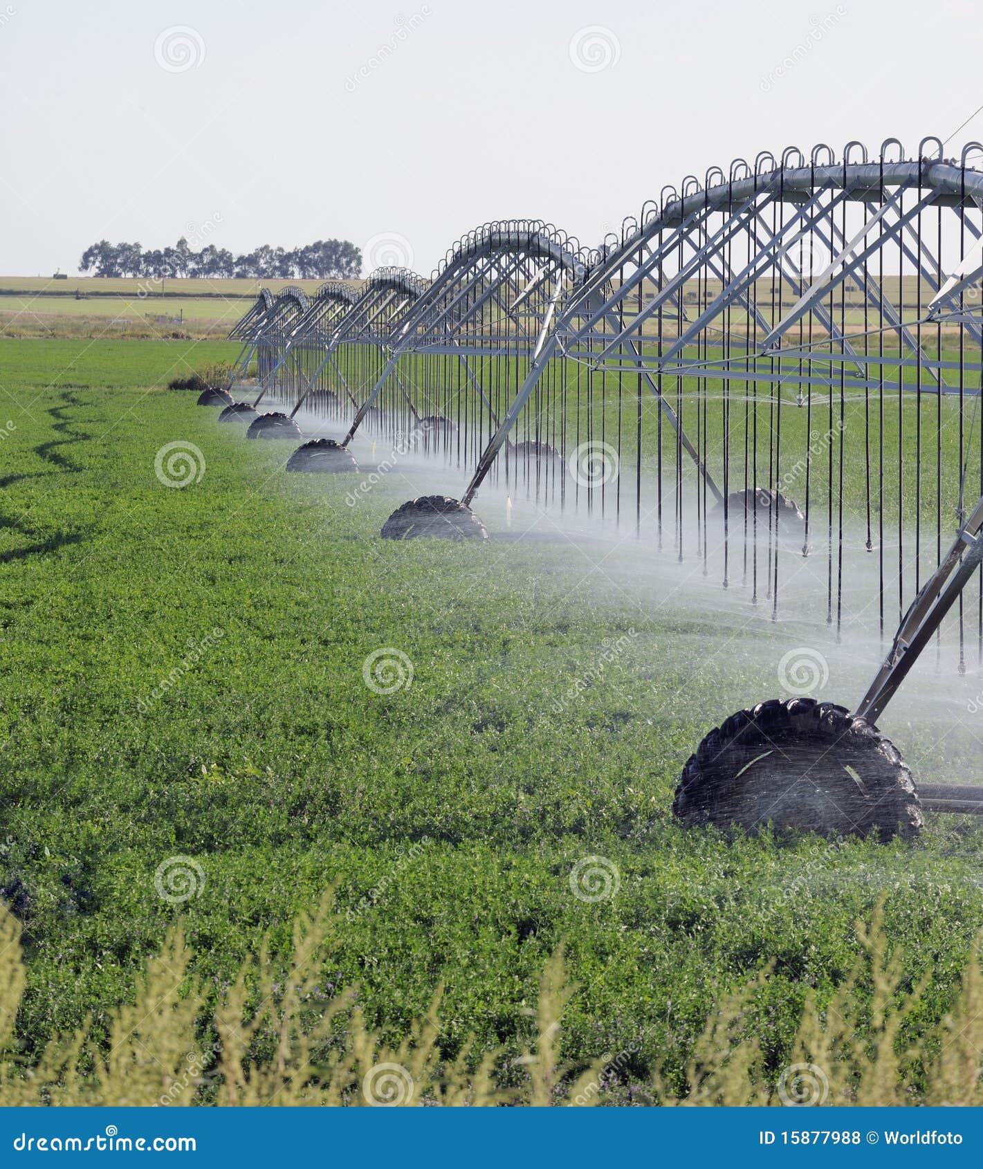 Agricultural Irrigation System Stock Photo - Image of spraying, grass ...