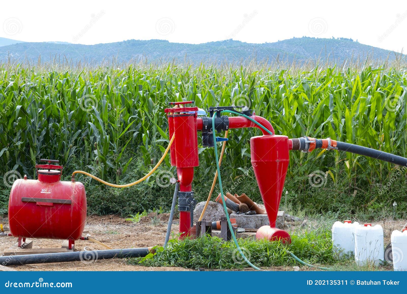 Agricultural Irrigation System. Corn Field Stock Image - Image of ...