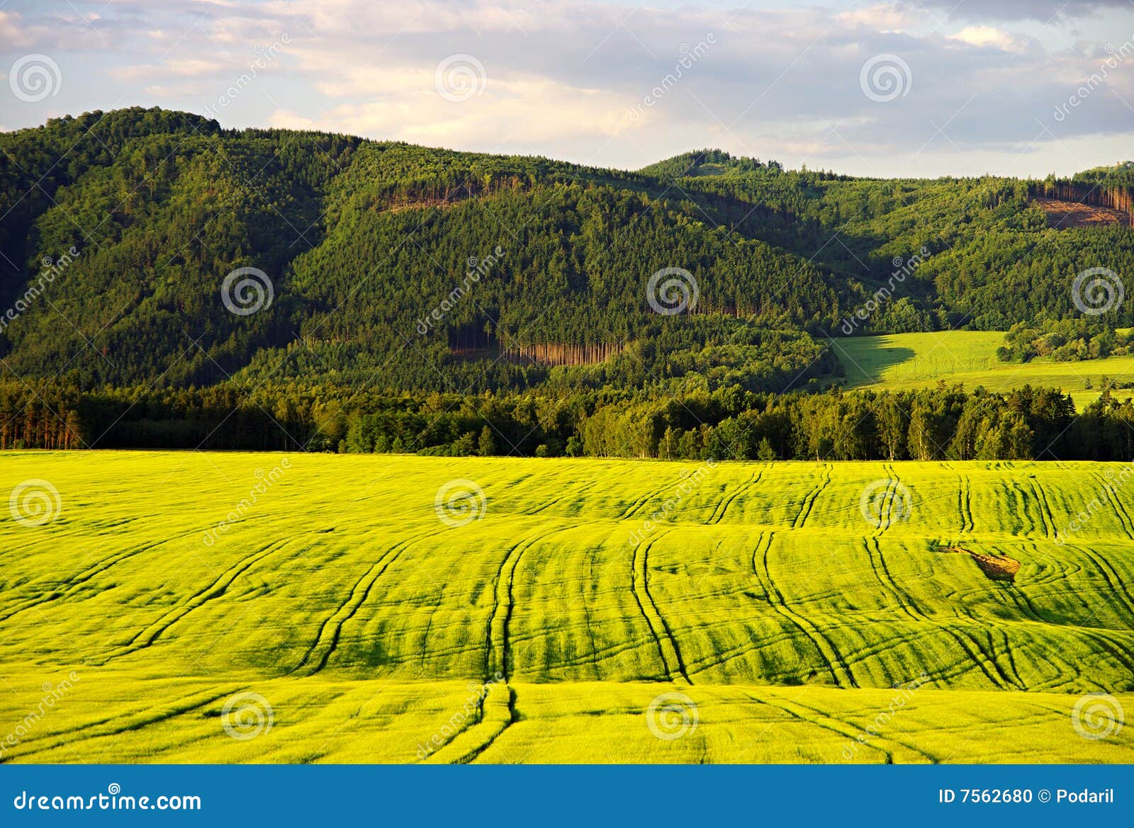 Agricultural land stock photo. Image of cultivated, agronomy - 7562680
