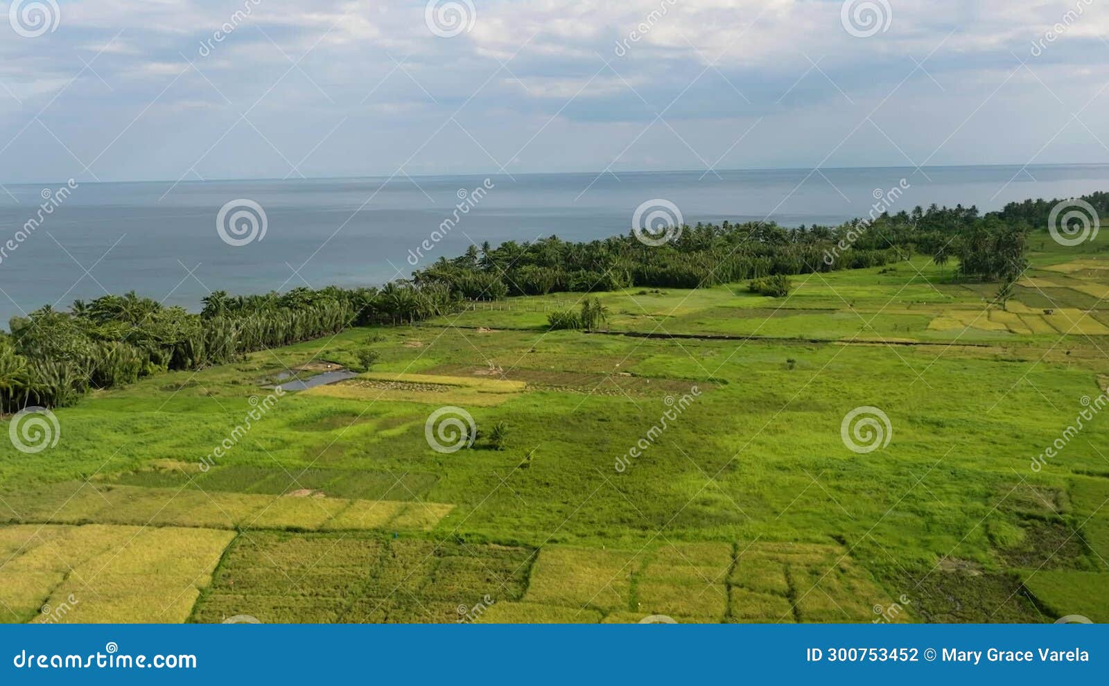 Agricultural Land in Camiguin Island. Philippines. Stock Footage ...