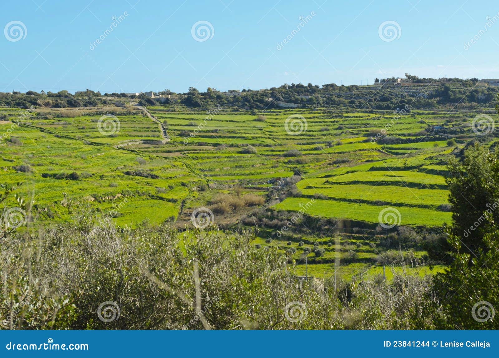 Agricultural land - Malta stock photo. Image of mountain - 23841244