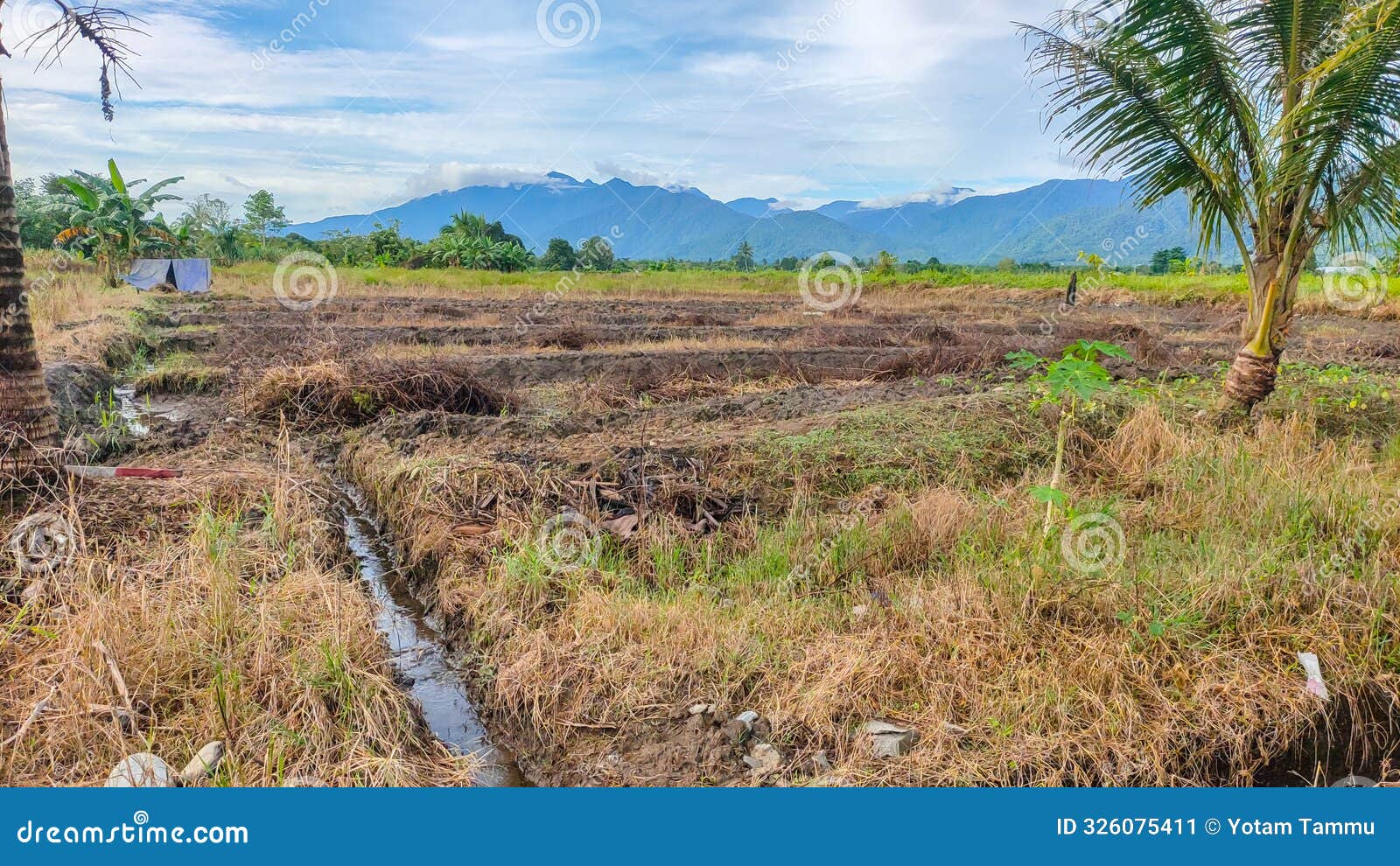 Agricultural Land that is in the Process of Being Prepared for Planting ...